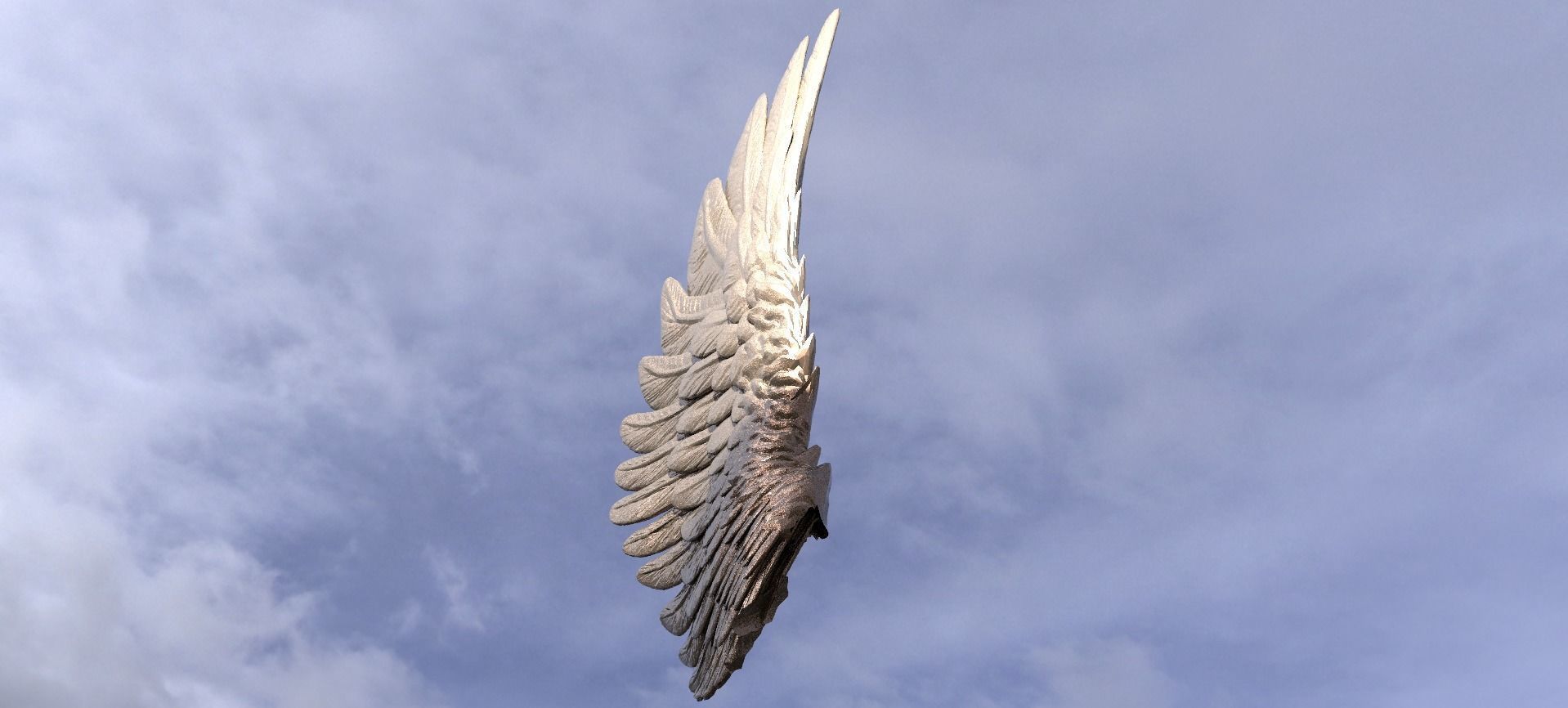 Single Angel Wing Side 3D model | CGTrader
