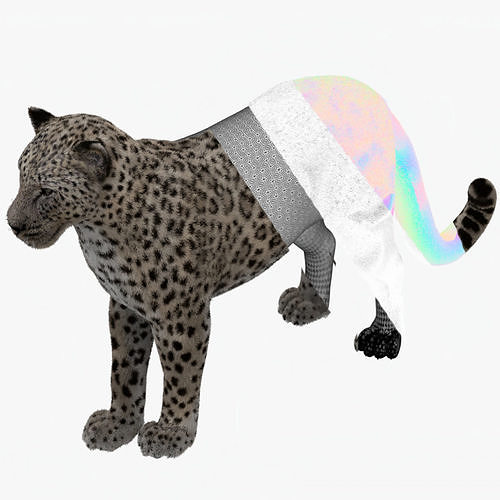 3D model MAYA XGEN FUR Leopard VR / AR / low-poly | CGTrader