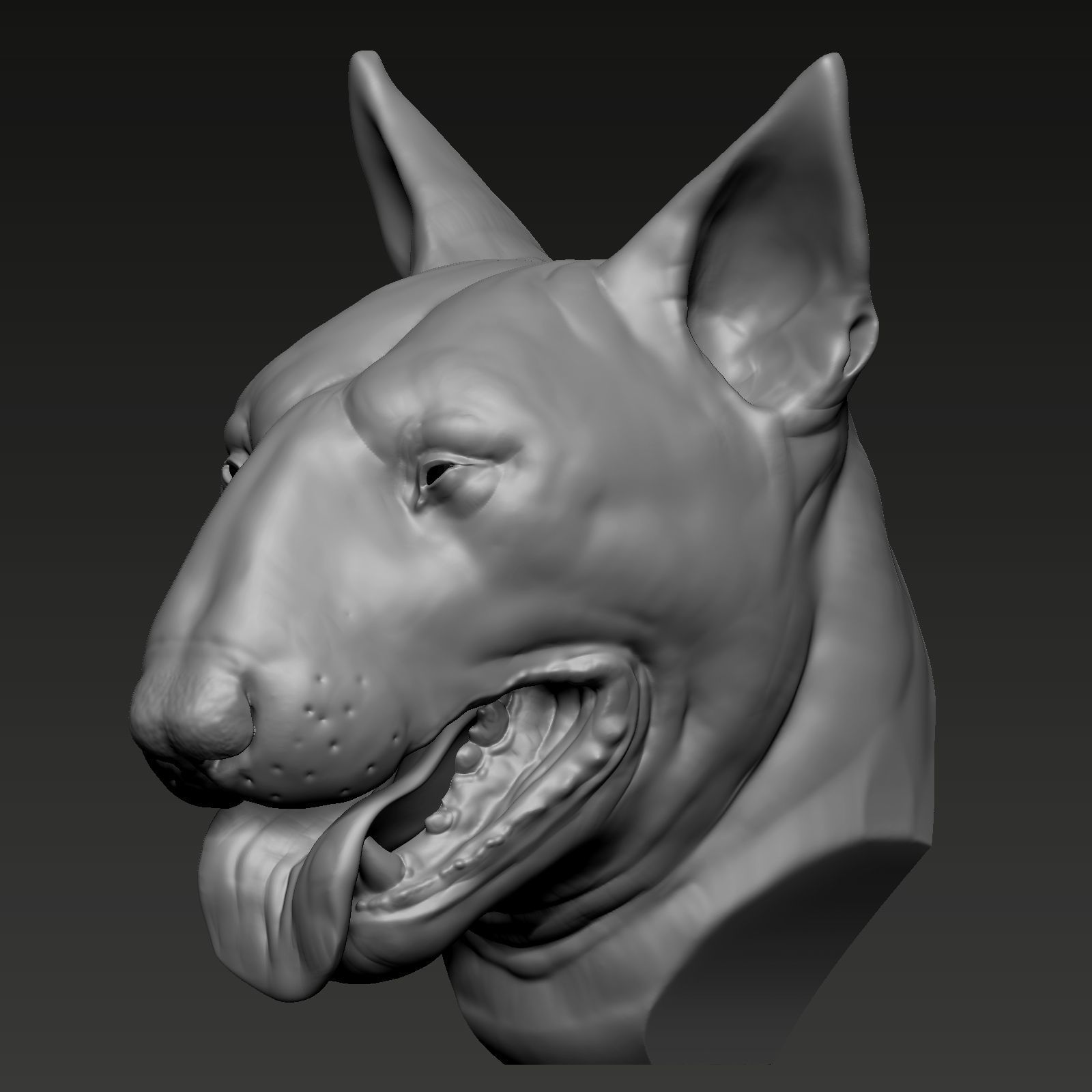 Bull Terrier Head 3D model 3D printable | CGTrader
