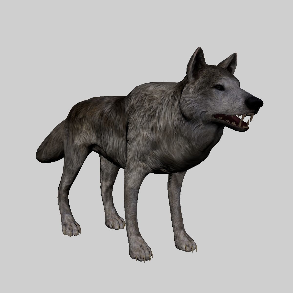 3D model Lowpoly Wolf Rigged and Animated for VR AR Games VR / AR / low ...