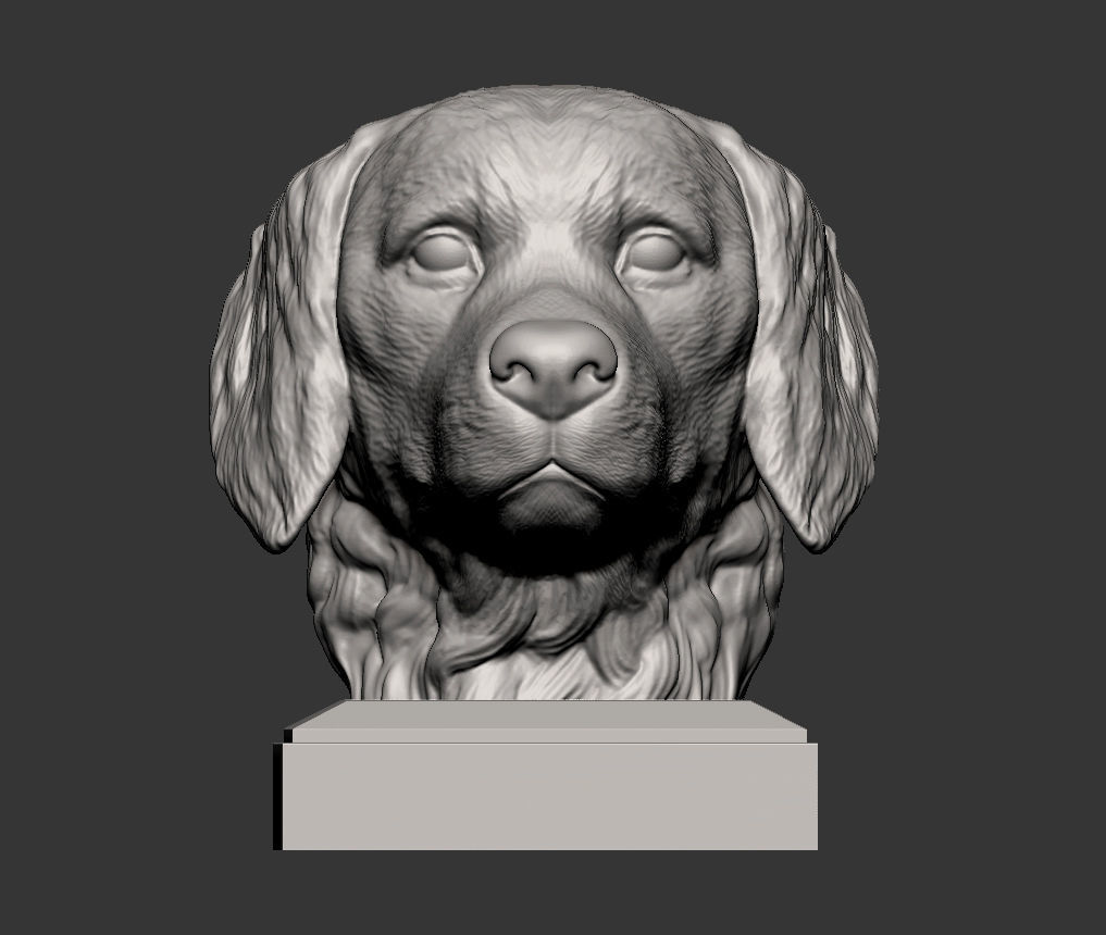 Golden retriever 3D print model 3D model 3D printable | CGTrader