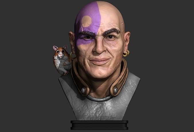 Minsc and Boo bust 3D model 3D printable | CGTrader