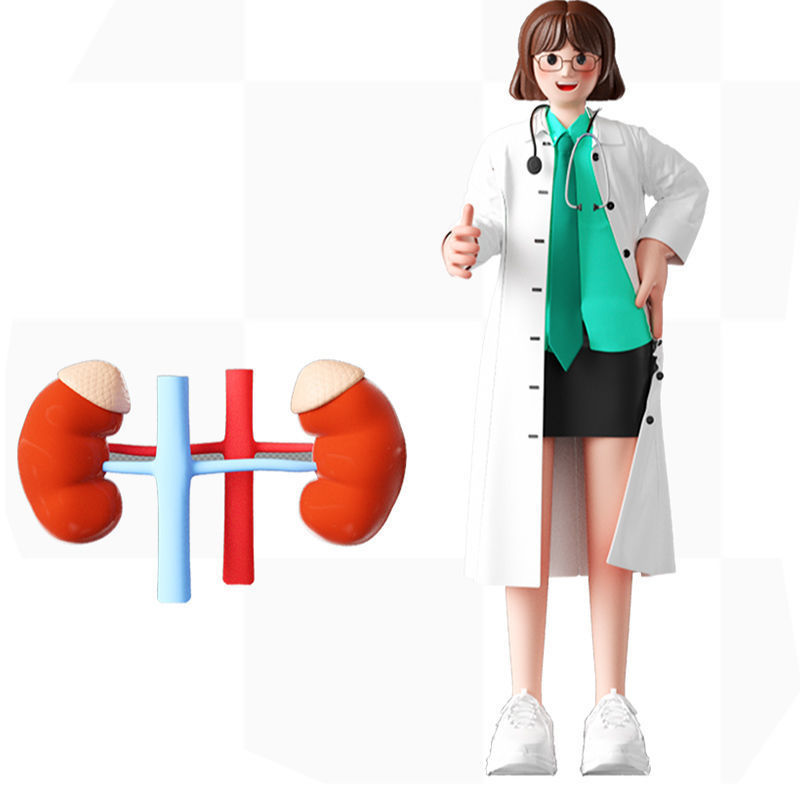 C4D model - organ doctor element 3D model | CGTrader