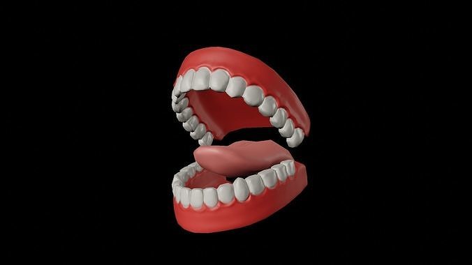 3D model Teeth and Tongue model for Low and Mid poly Characters VR / AR ...
