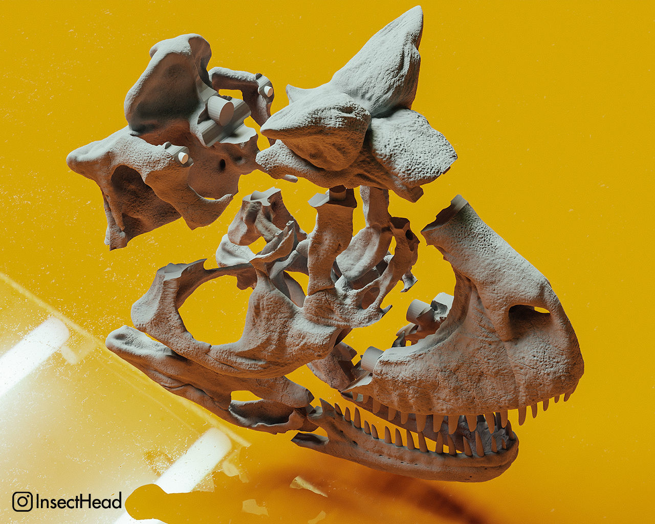 Carnotaurus sastrei skull fossil 3D model 3D printable | CGTrader