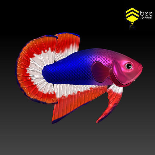 Betta Fish 2 - Ready for 3D print 3D model 3D printable | CGTrader