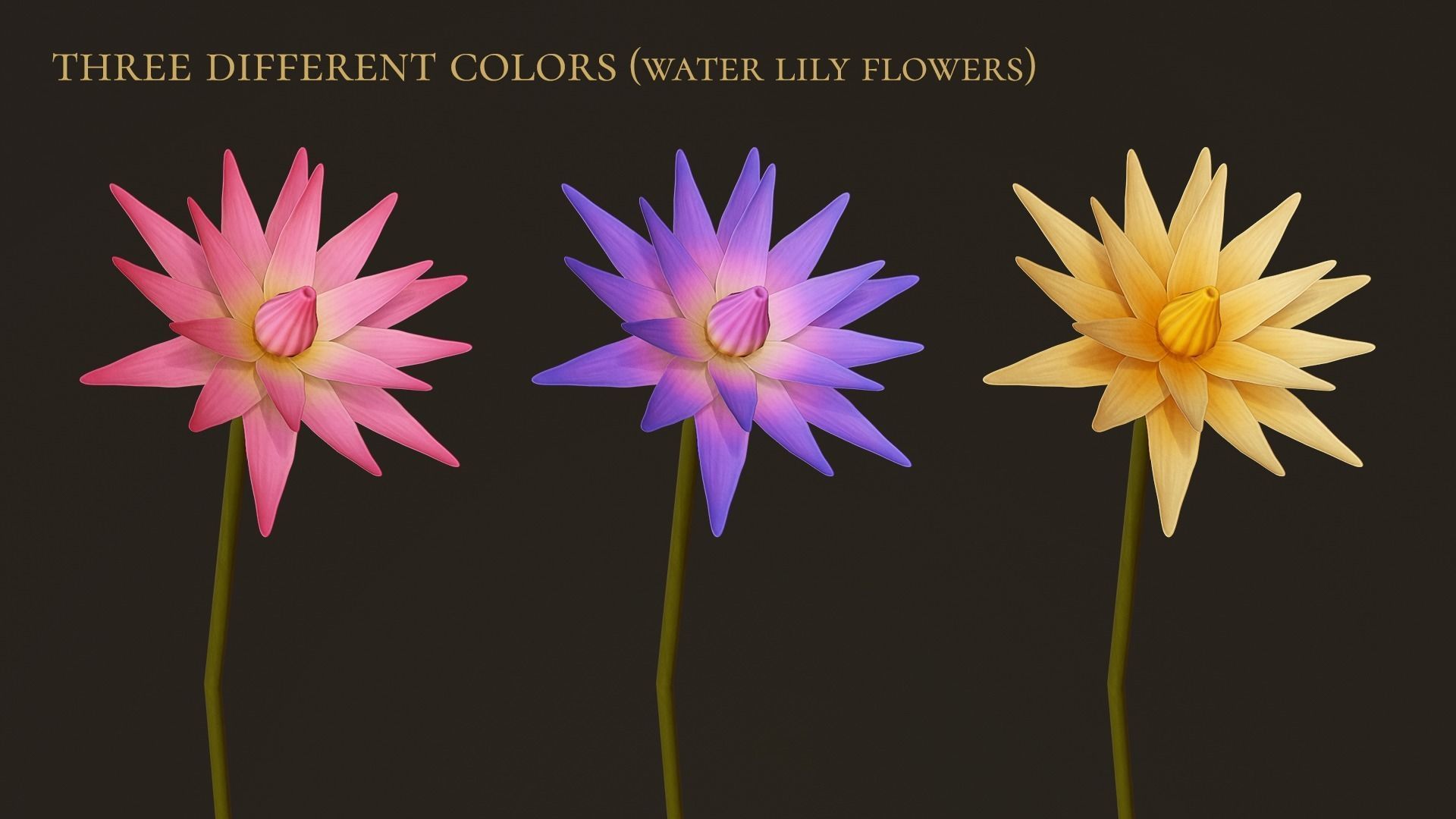 3D model Water Plants and Flowers VR / AR / low-poly | CGTrader
