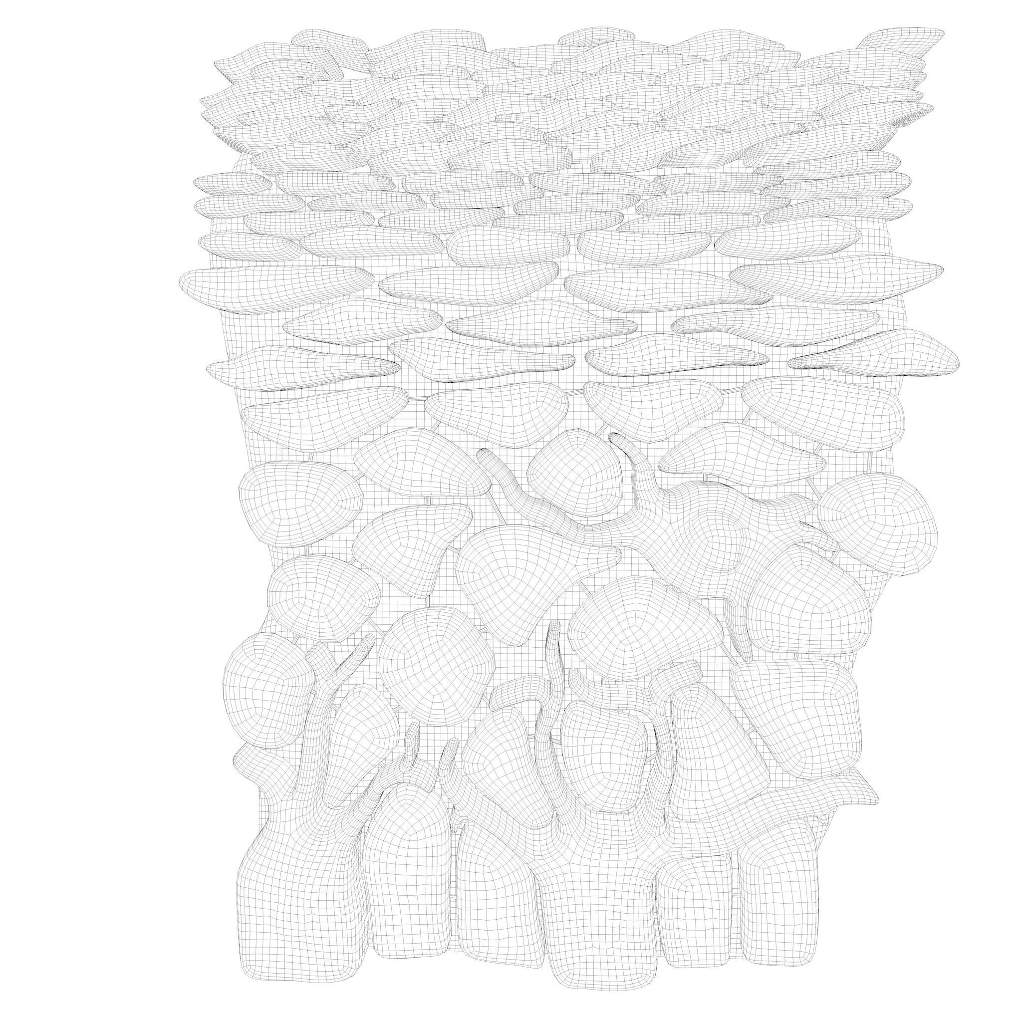 Epidermis Cross Section 3D model | CGTrader