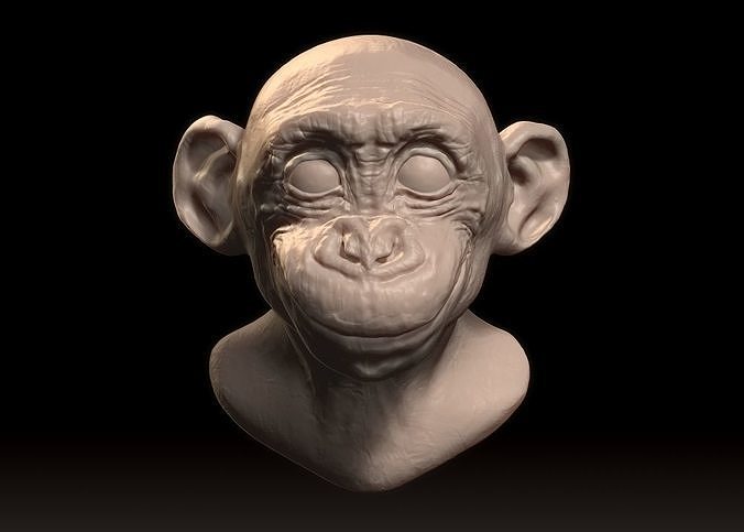 Bust of a Baby Chimpanzee 3D model 3D printable | CGTrader