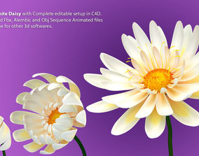 Animated Flower vase 3D Models | CGTrader