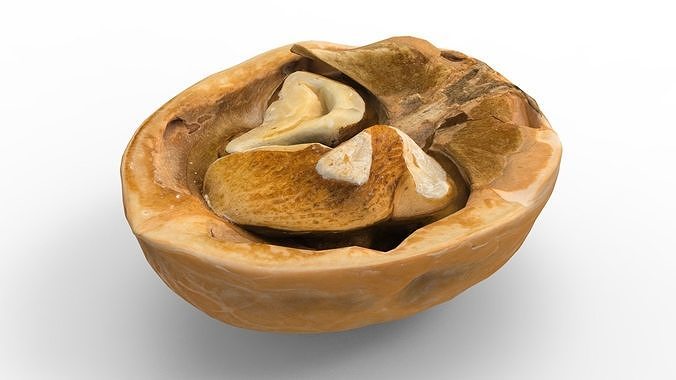 Walnut Shell Half