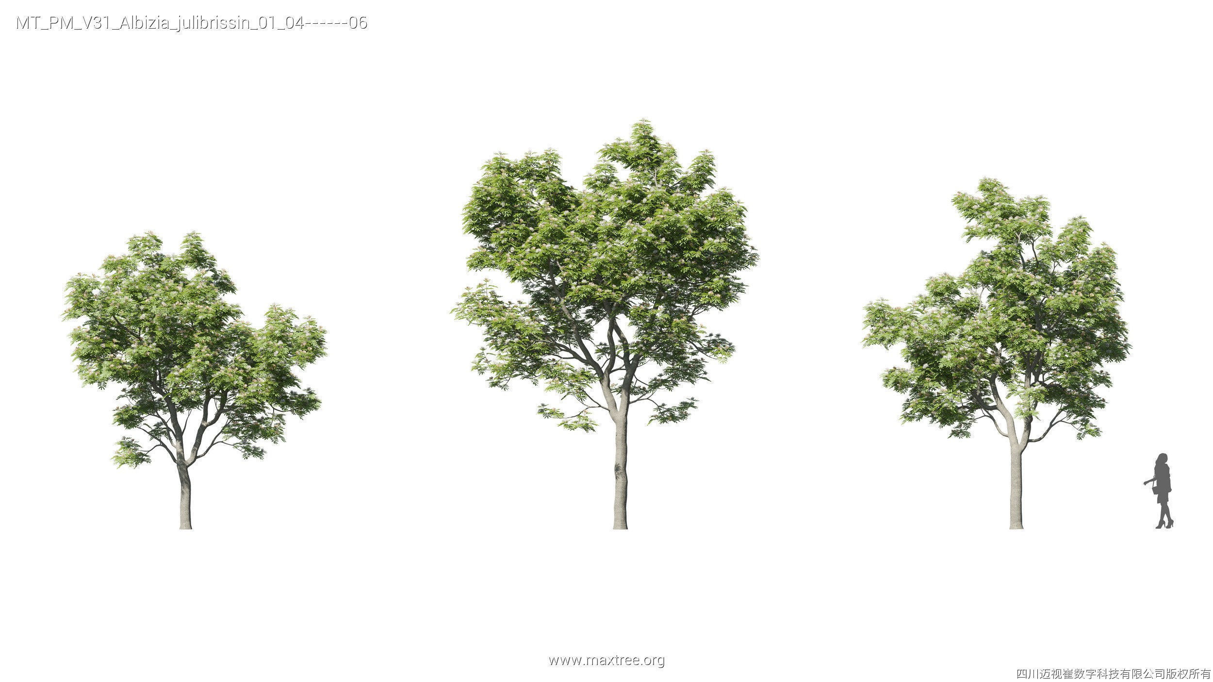 Maxtree Plant Models Vol 31 - Mesh 3D model | CGTrader