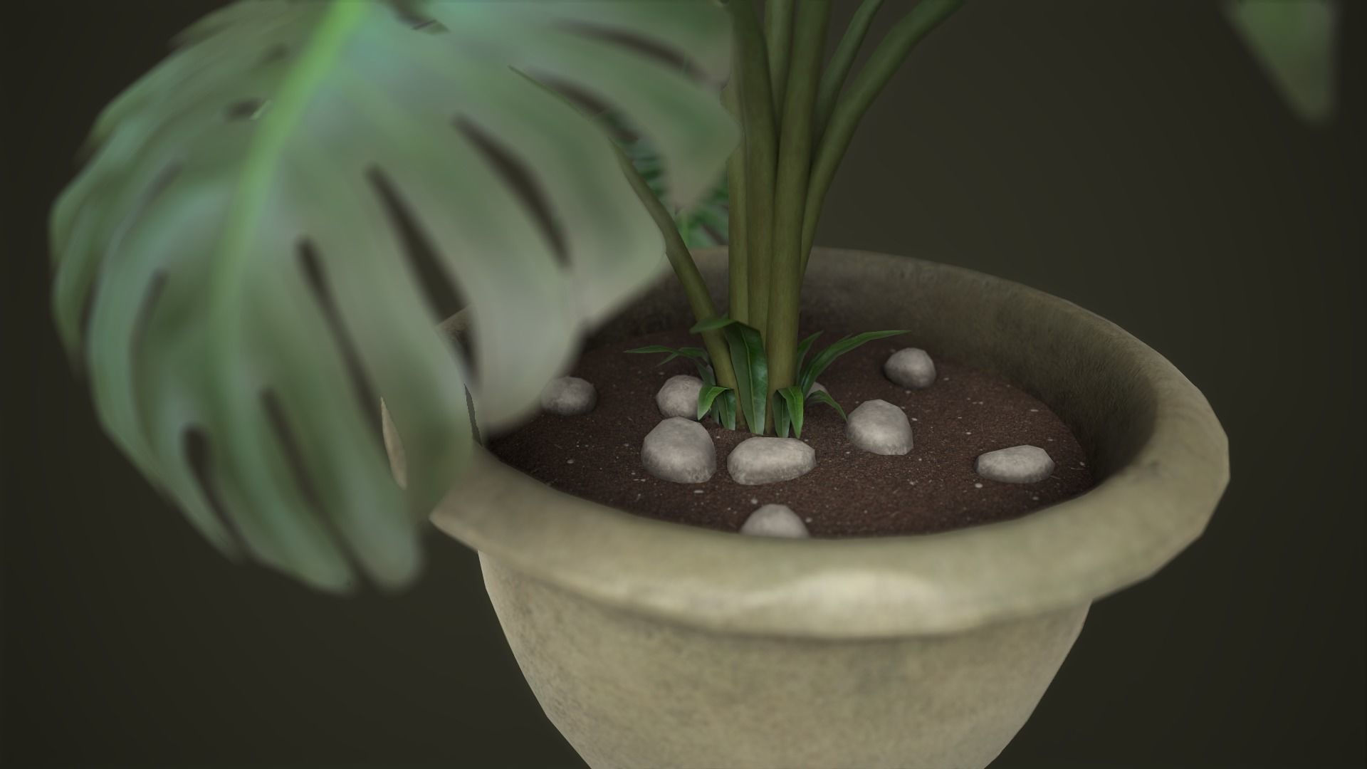 3D model Monstera in a pot VR / AR / low-poly | CGTrader