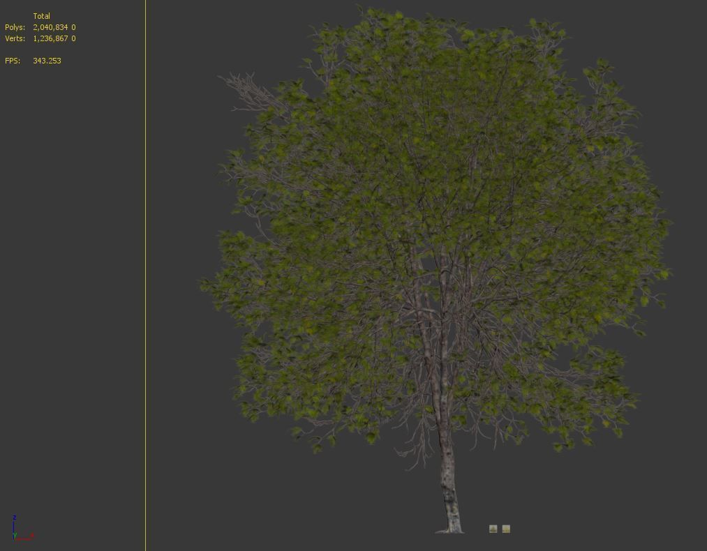 Fraxinus latifolia 3D model | CGTrader