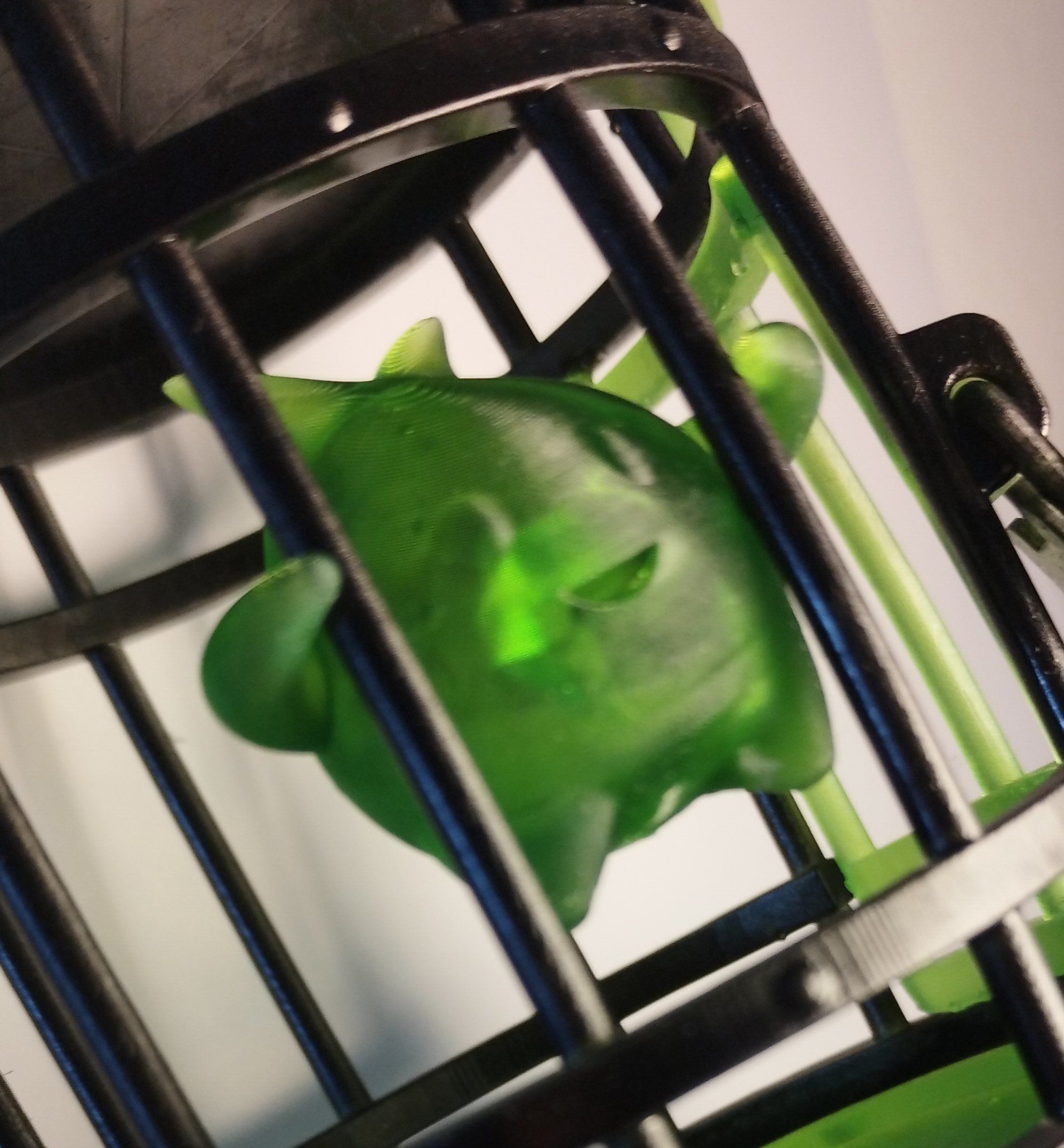 Lumalee locked in a cage 3D model 3D printable | CGTrader