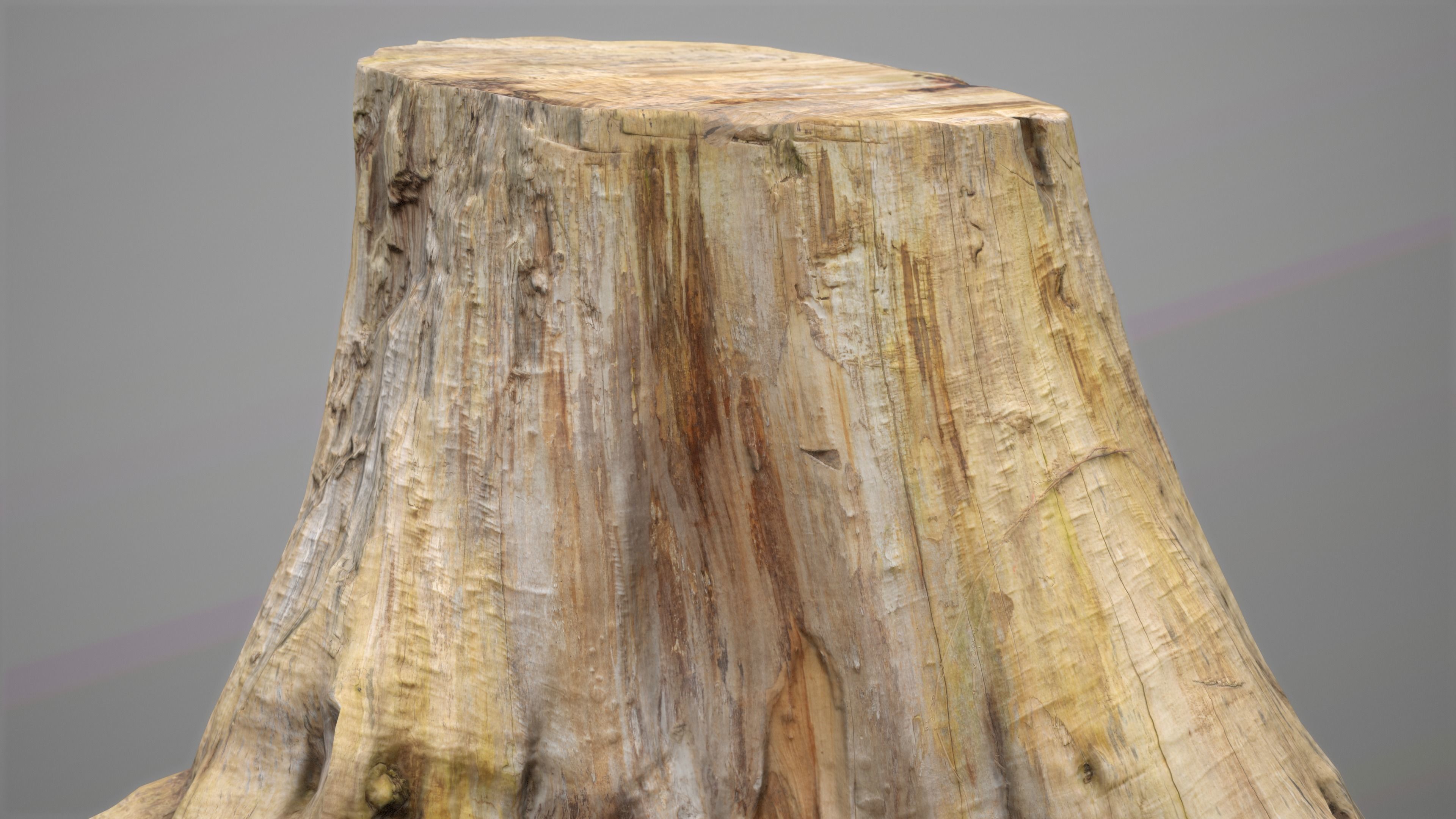 3D model Big Tree Stump VR / AR / low-poly | CGTrader