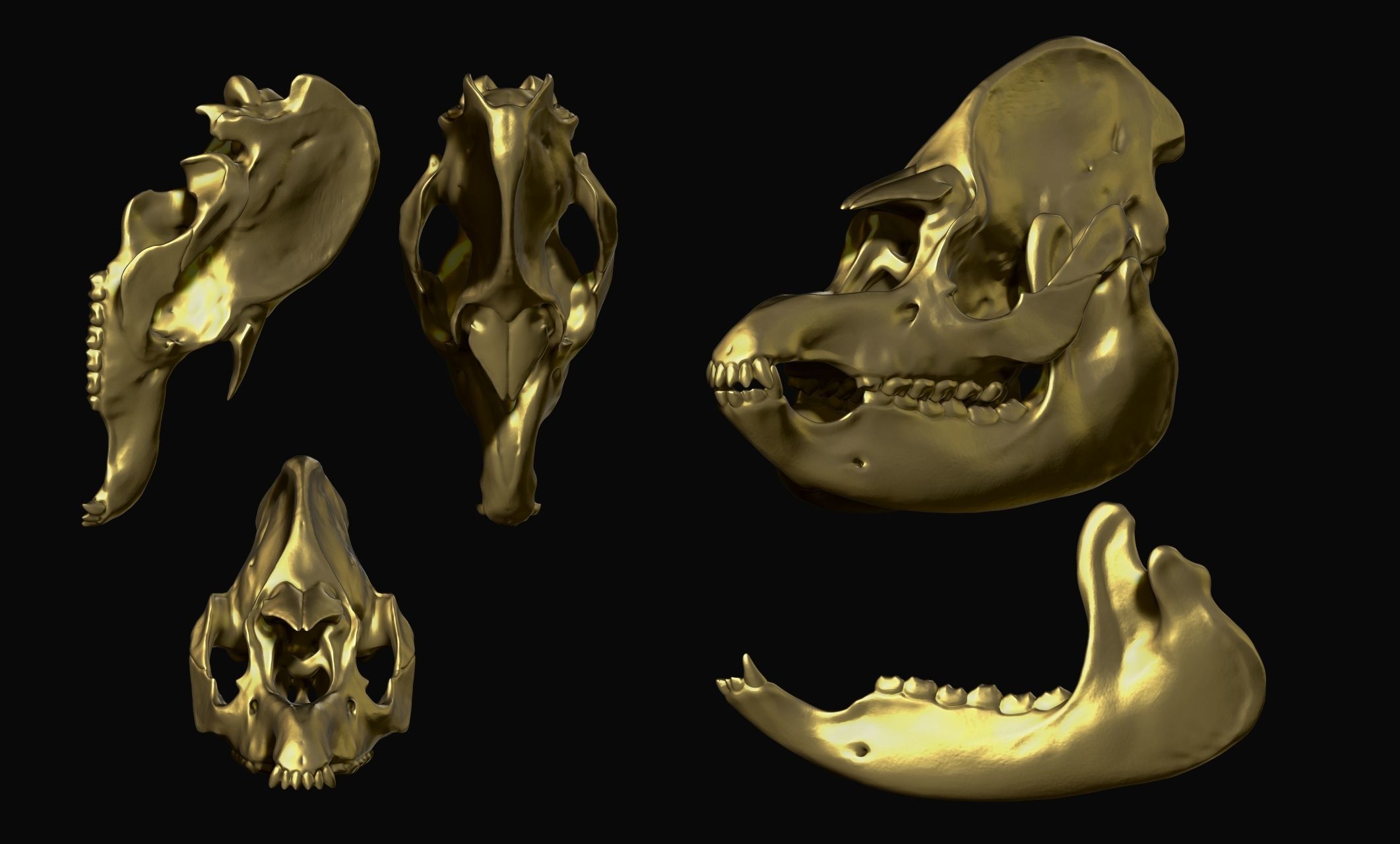 Tapir - Tapirus Skull 3D model 3D printable | CGTrader