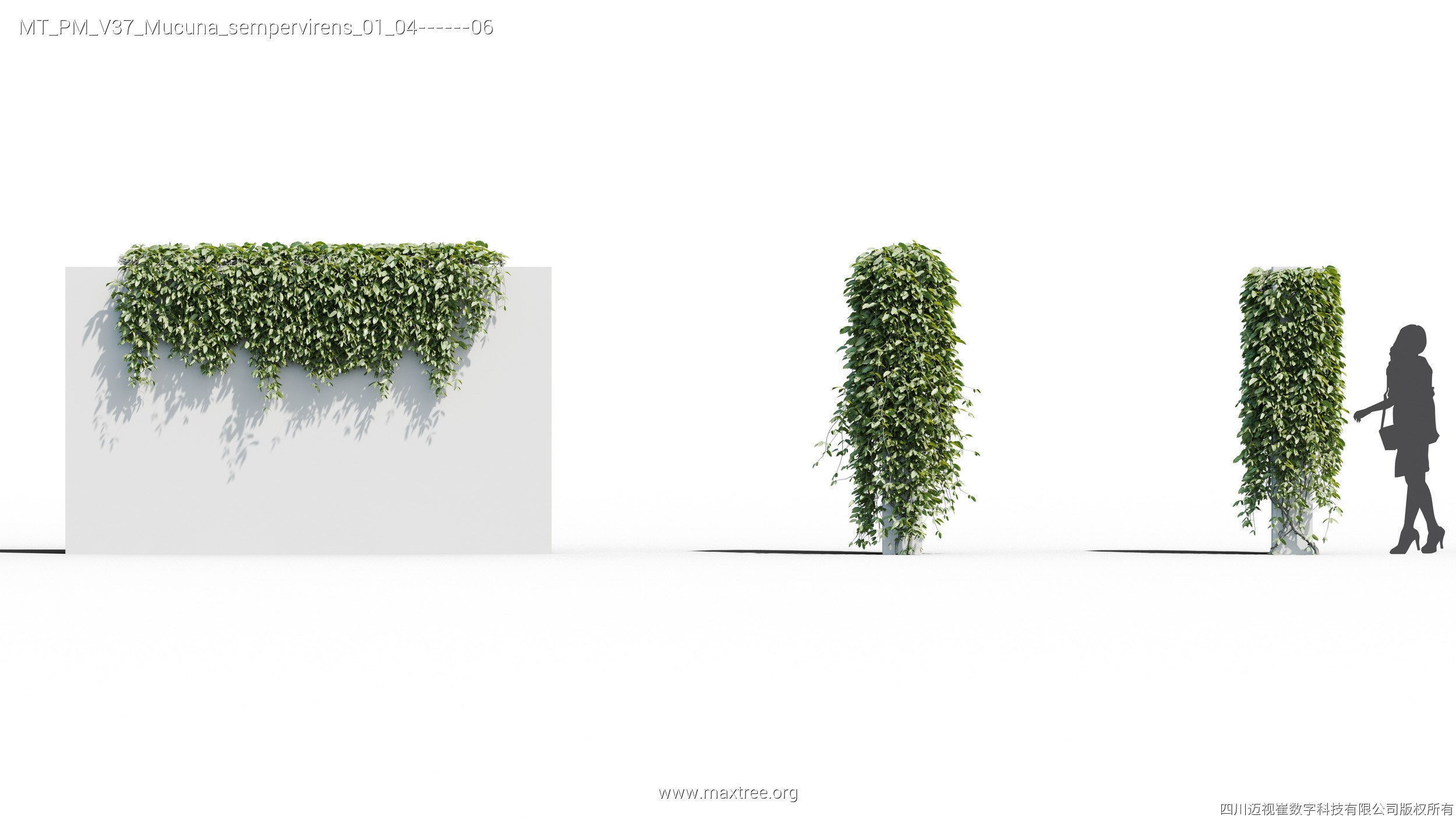 Maxtree Plant Models Vol 37 - Mesh 3D model | CGTrader