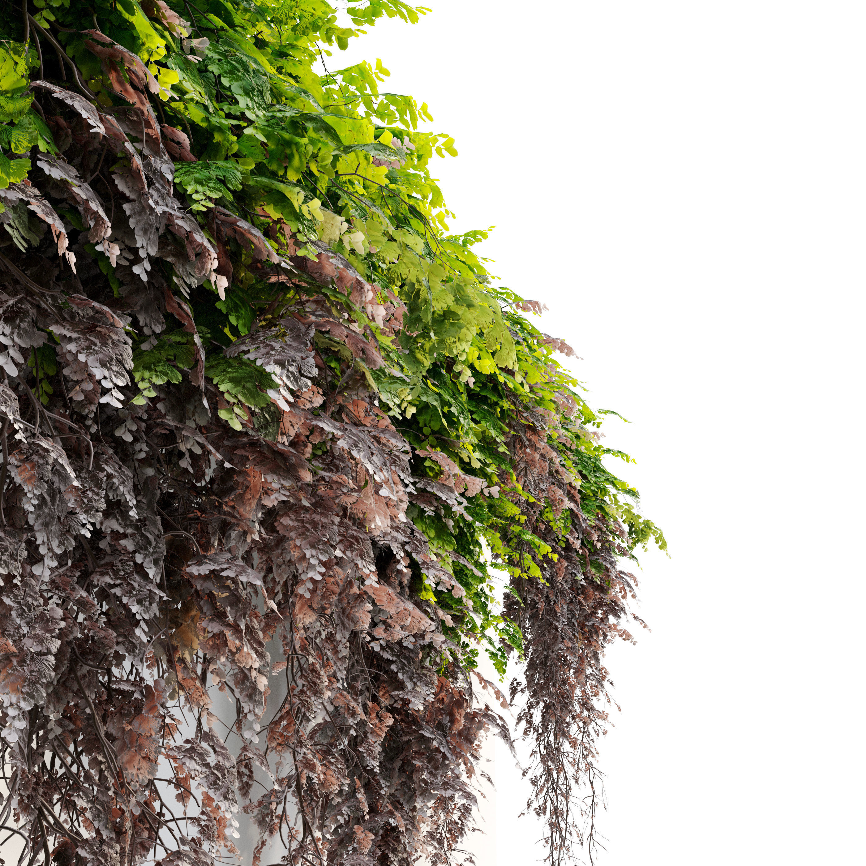 Hanging Plant 39 3D model | CGTrader