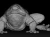 3D PRINTABLE SORGAN FROG WALKING POSE THE MANDALORIAN 3D model 3D ...