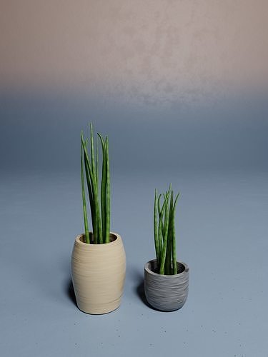 Small indoor plant 3D model | CGTrader