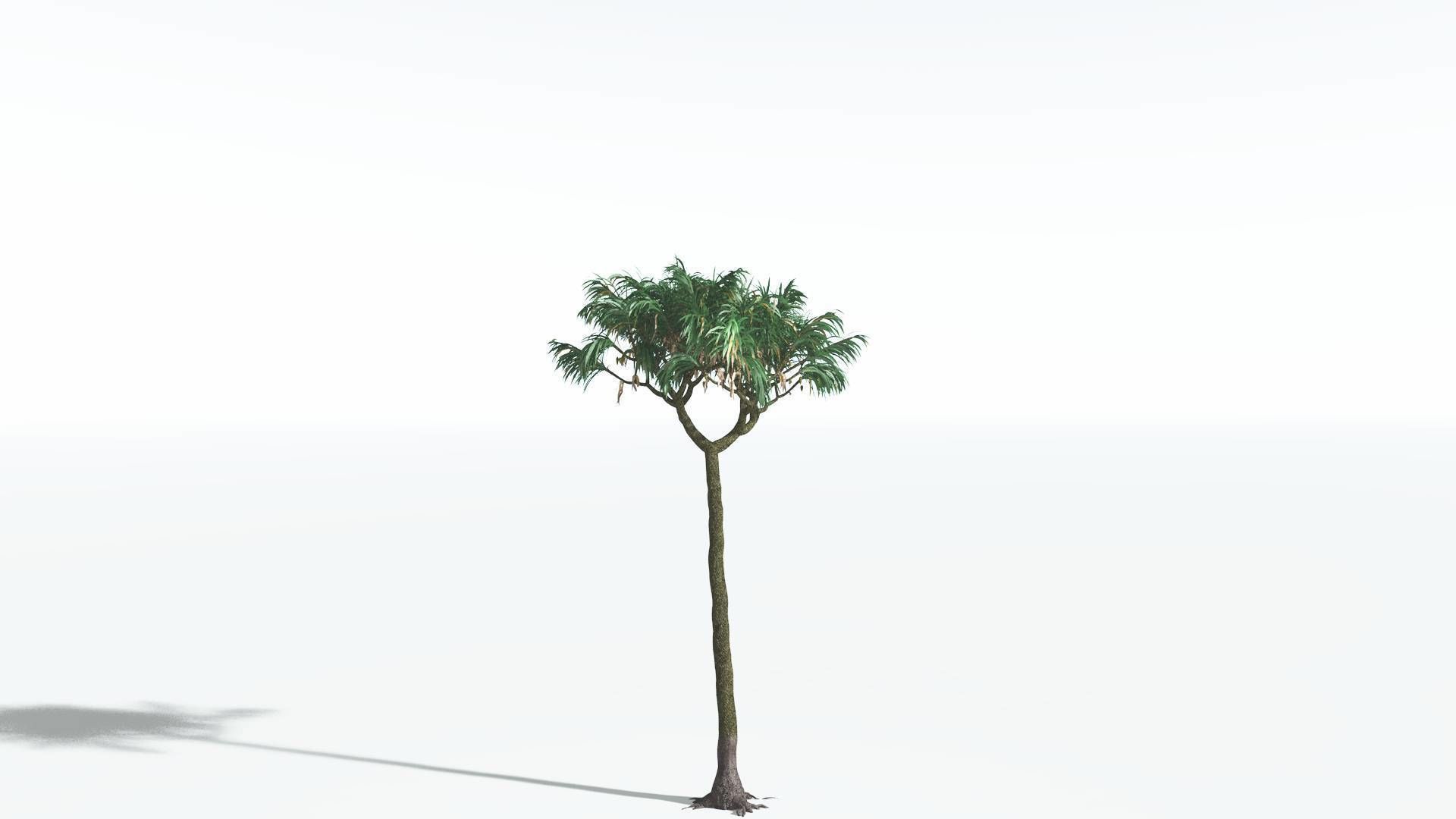 EVERYPlant Lepidodendron Scale Tree 2 --14 Models-- 3D model | CGTrader
