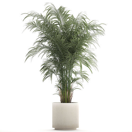 Beautiful palm tree in a flower pot for interior decor 1231 3D model ...