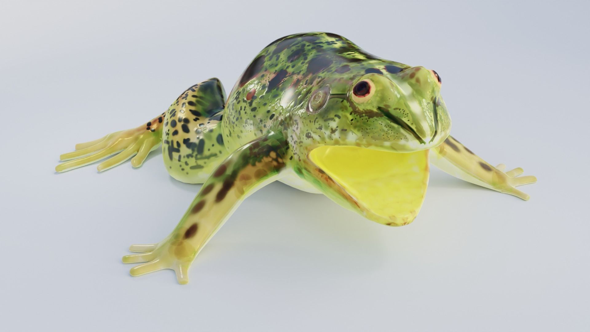 Jungle frog 3D model | CGTrader