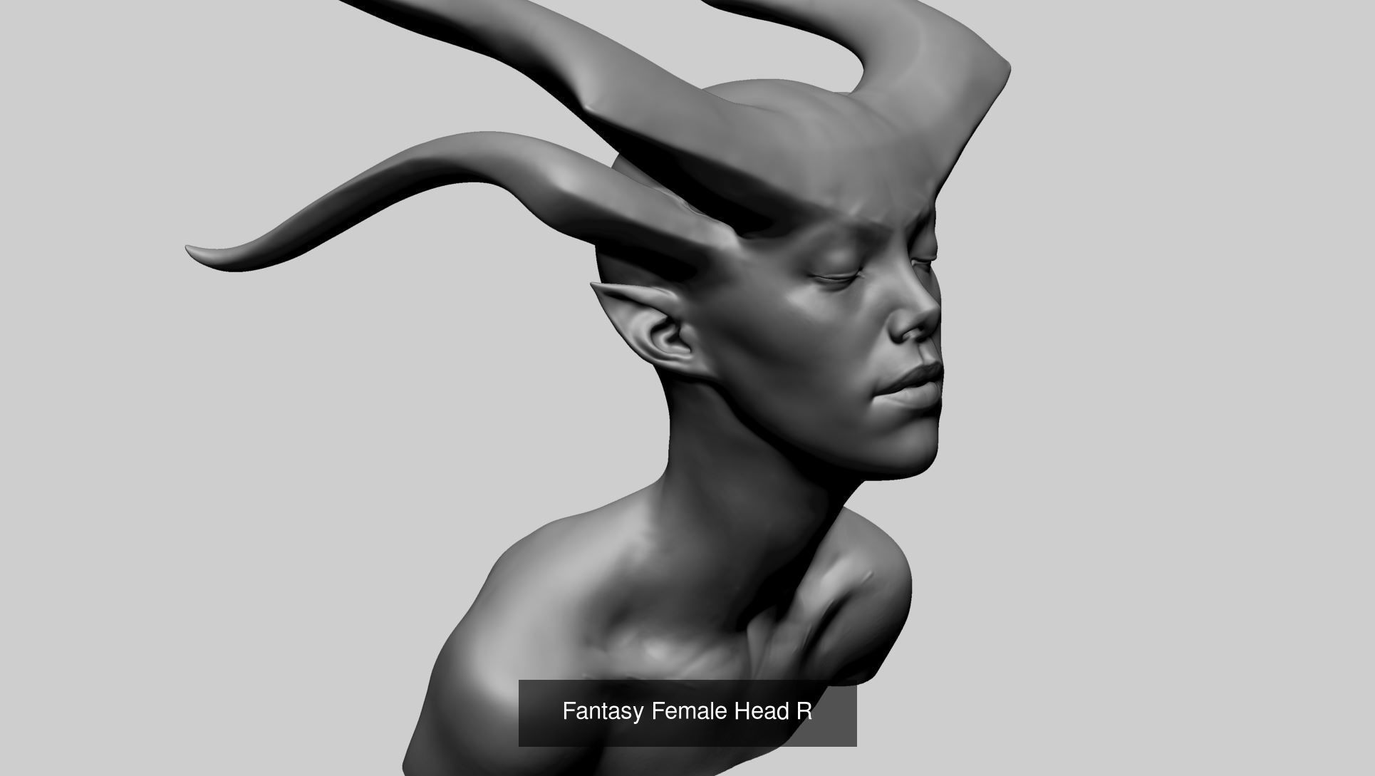 25 Female Head Models 3D Model Collection | CGTrader