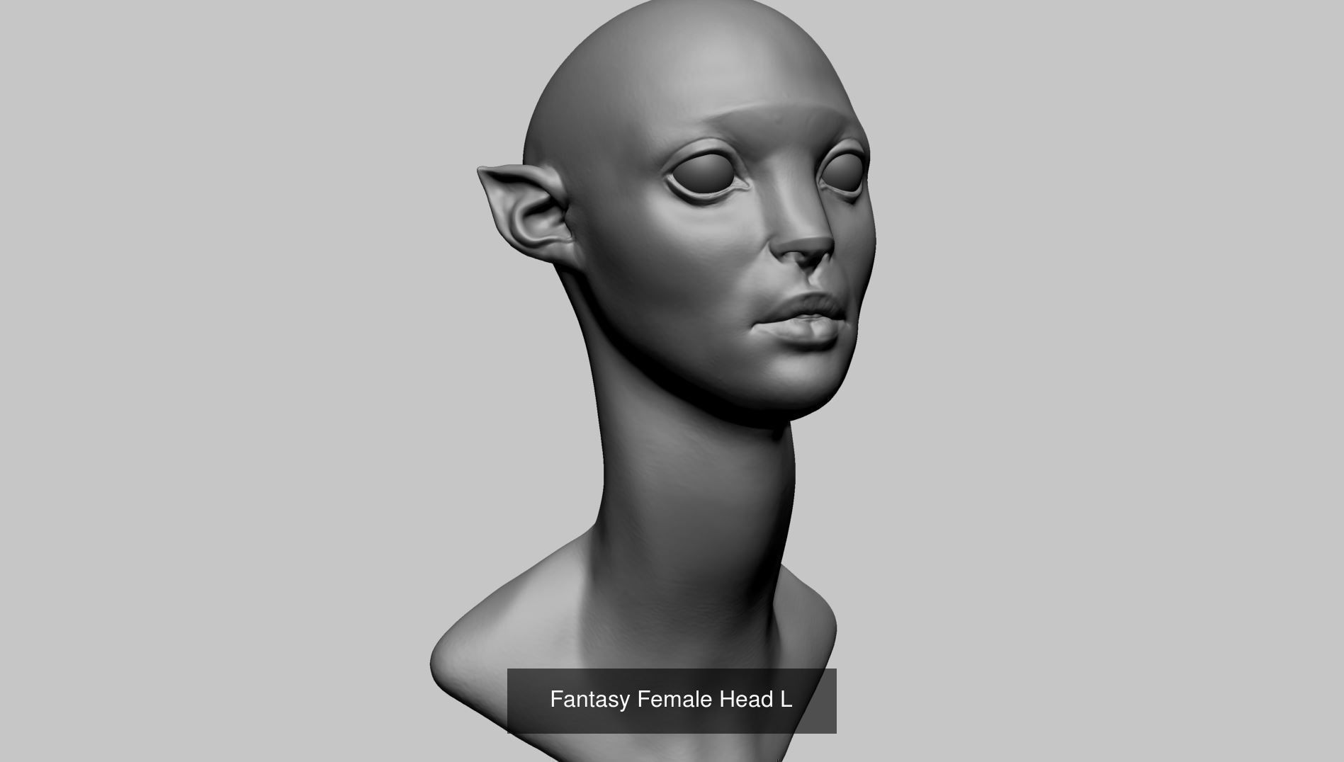 25 Female Head Models 3D Model Collection | CGTrader