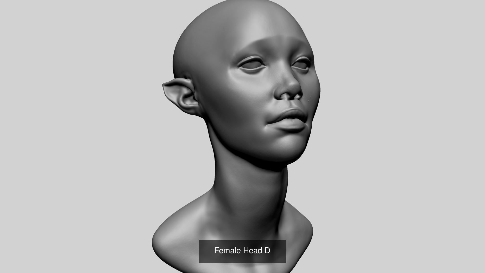 25 Female Head Models 3D Model Collection | CGTrader