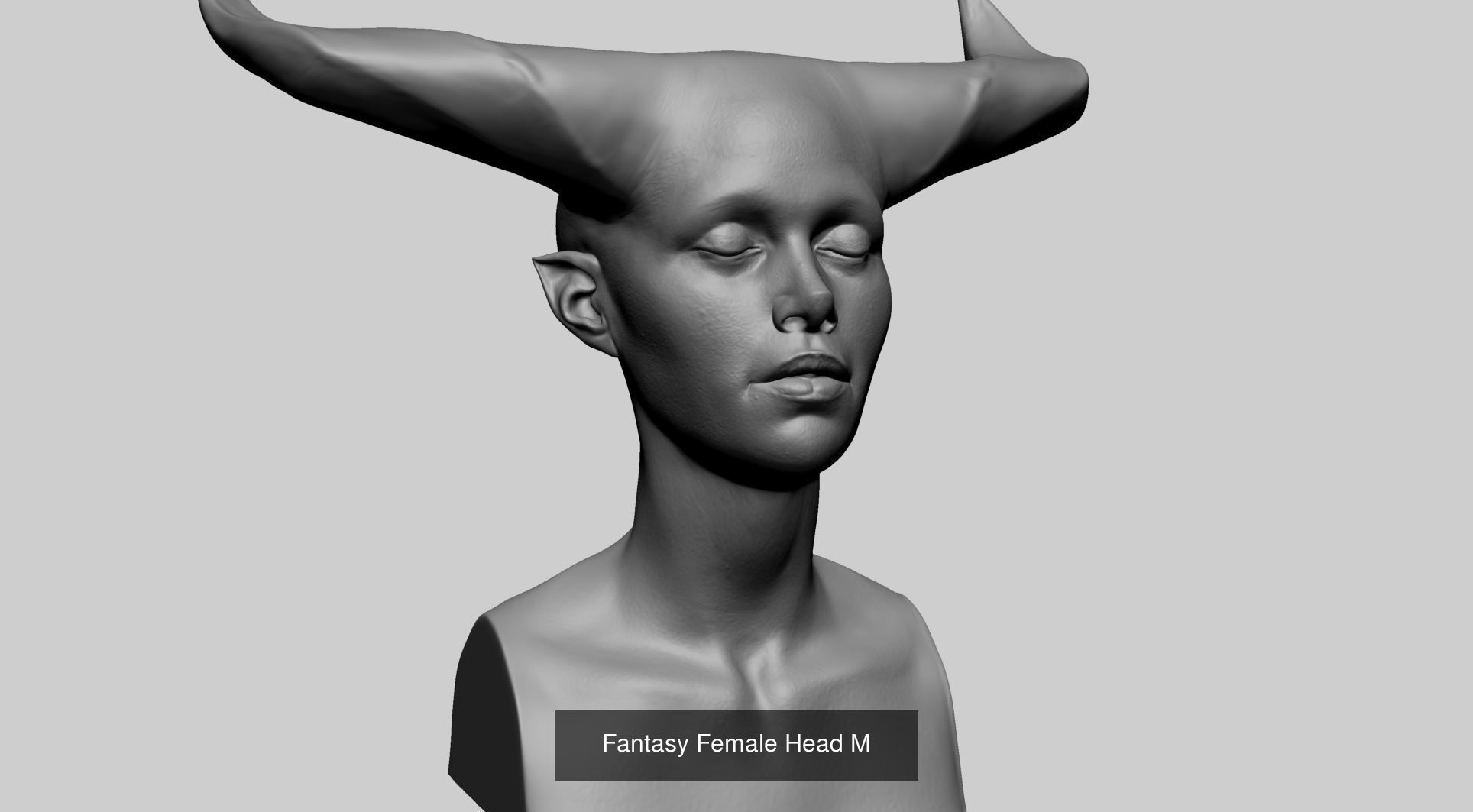 25 Female Head Models 3D Model Collection | CGTrader