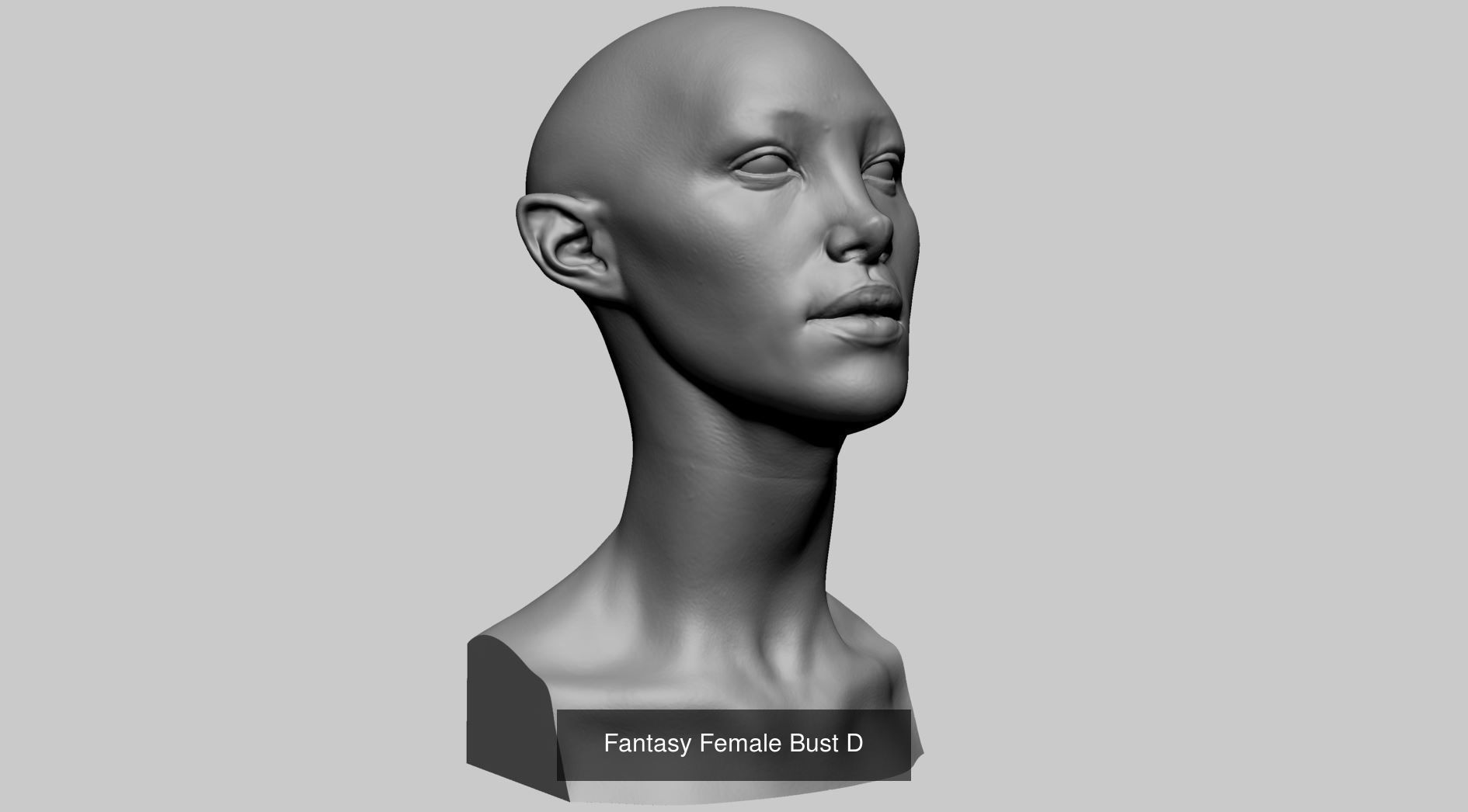 25 Female Head Models 3D Model Collection | CGTrader