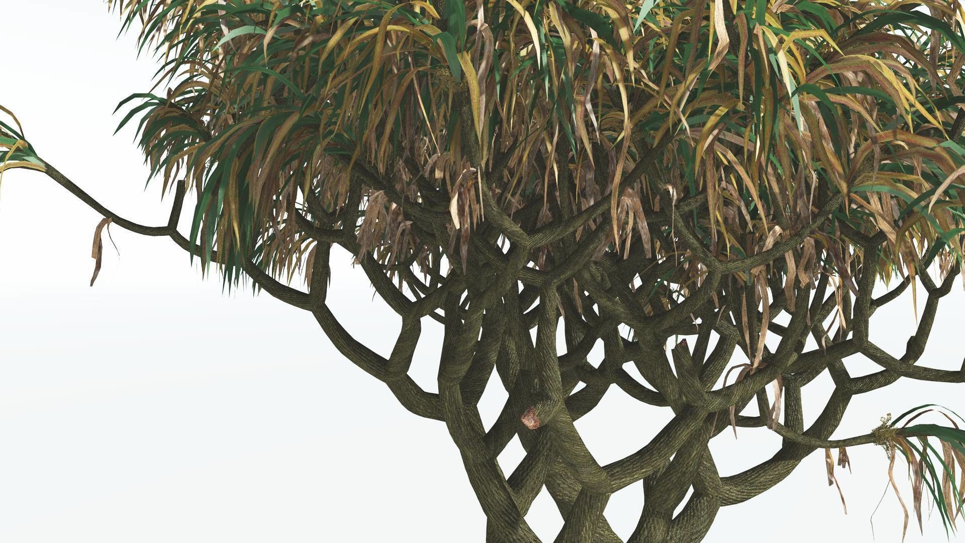 EVERYPlant Lepidodendron Scale Tree 4 --14 Models-- 3D model | CGTrader