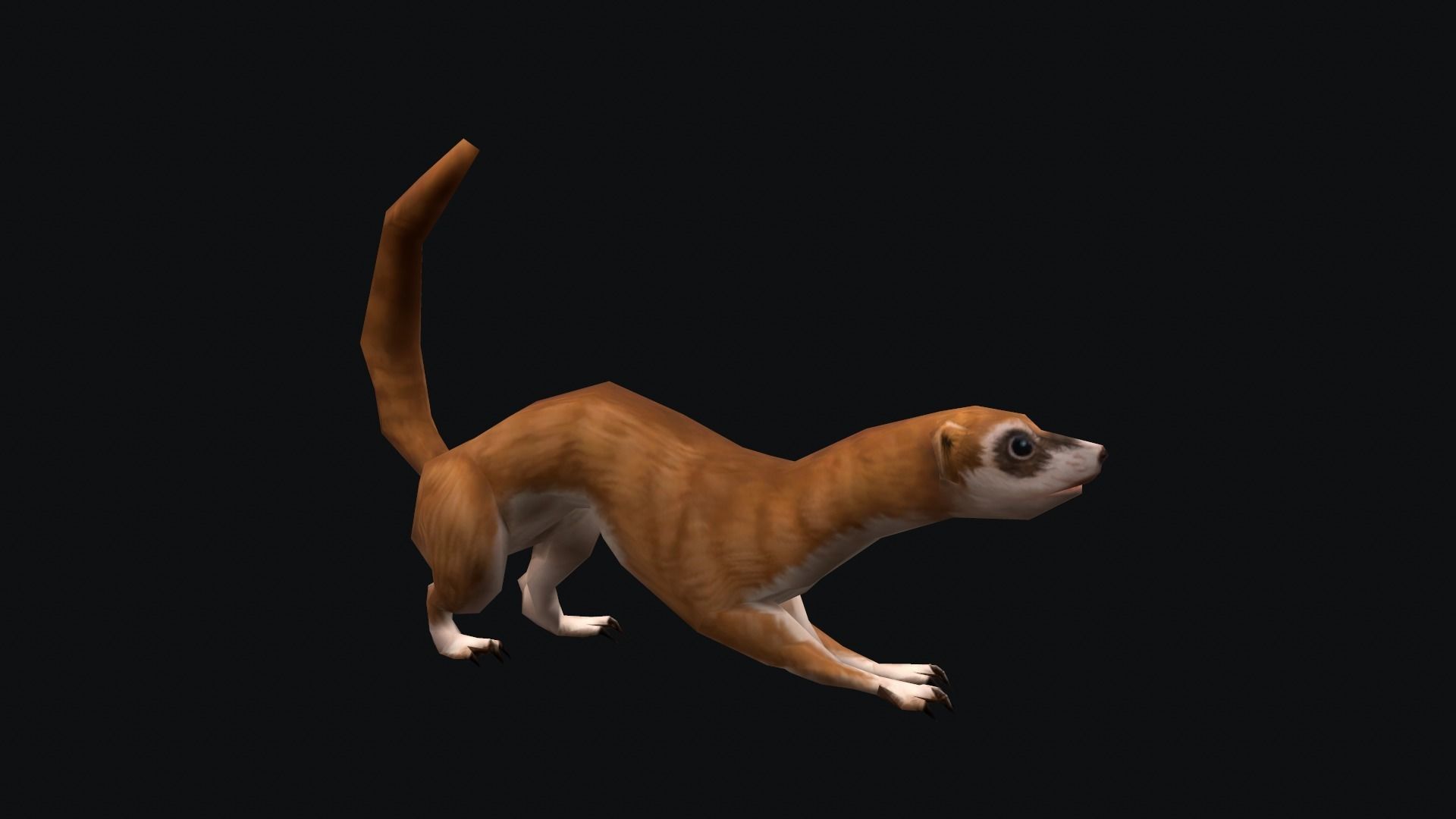 3D model animated weasel VR / AR / low-poly | CGTrader