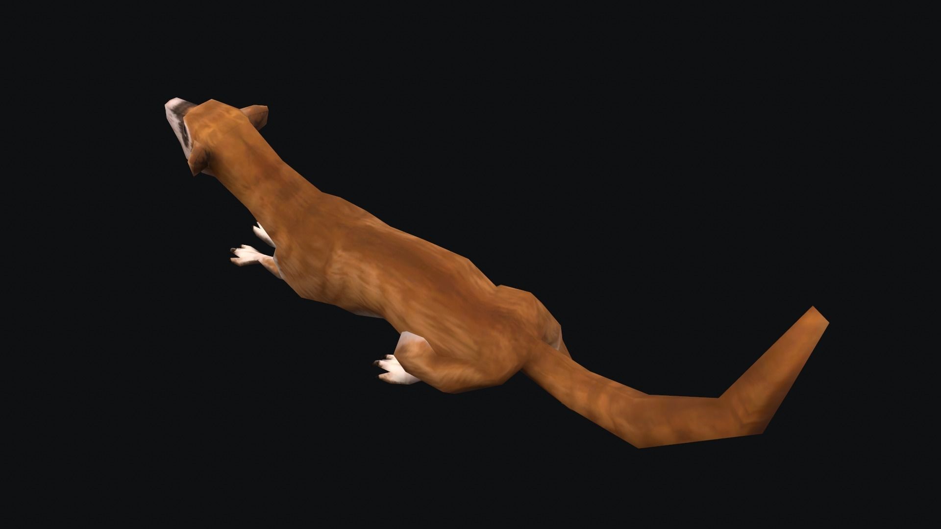 3D model animated weasel VR / AR / low-poly | CGTrader