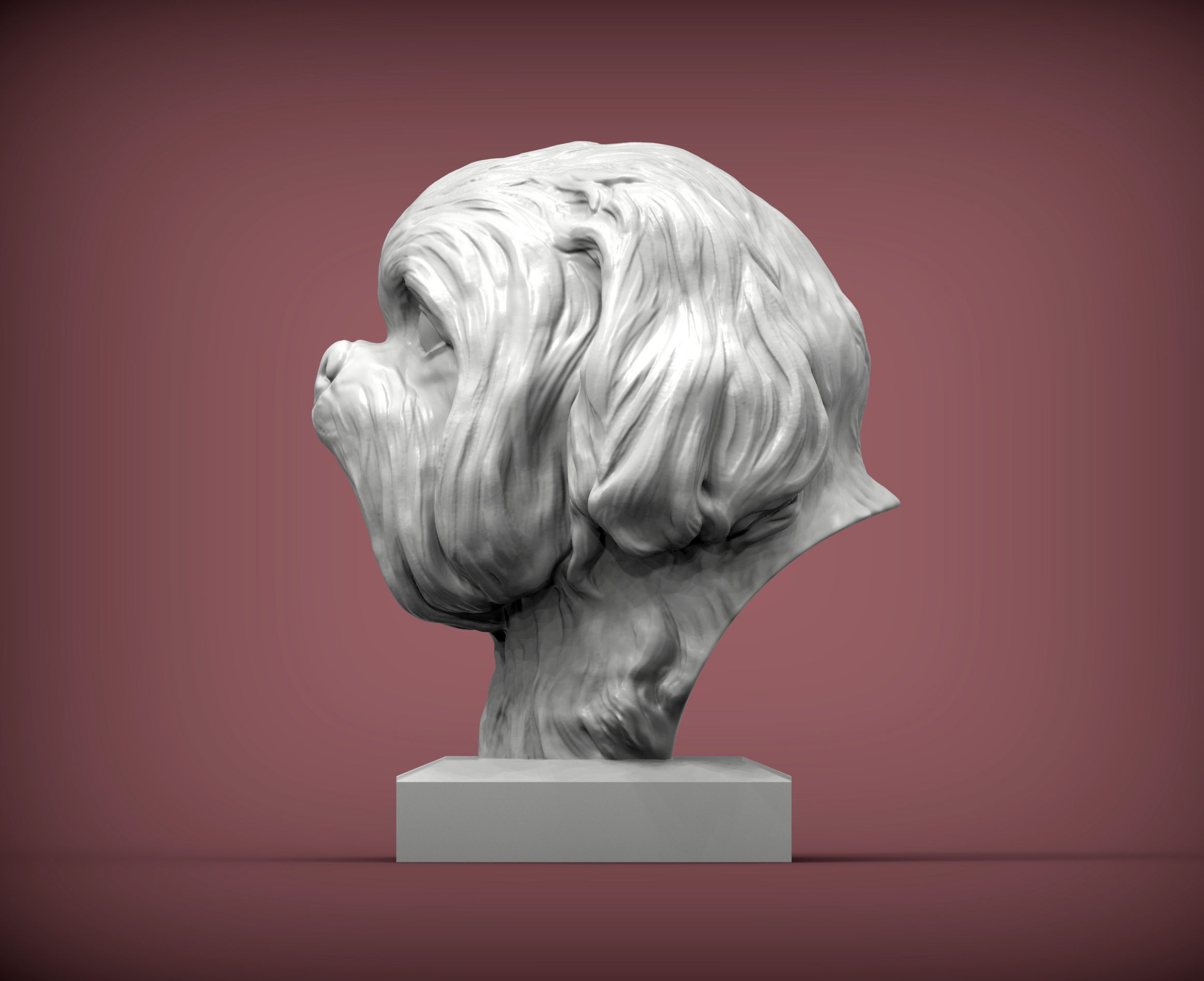 British Shih Tzu 3D model 3D printable | CGTrader