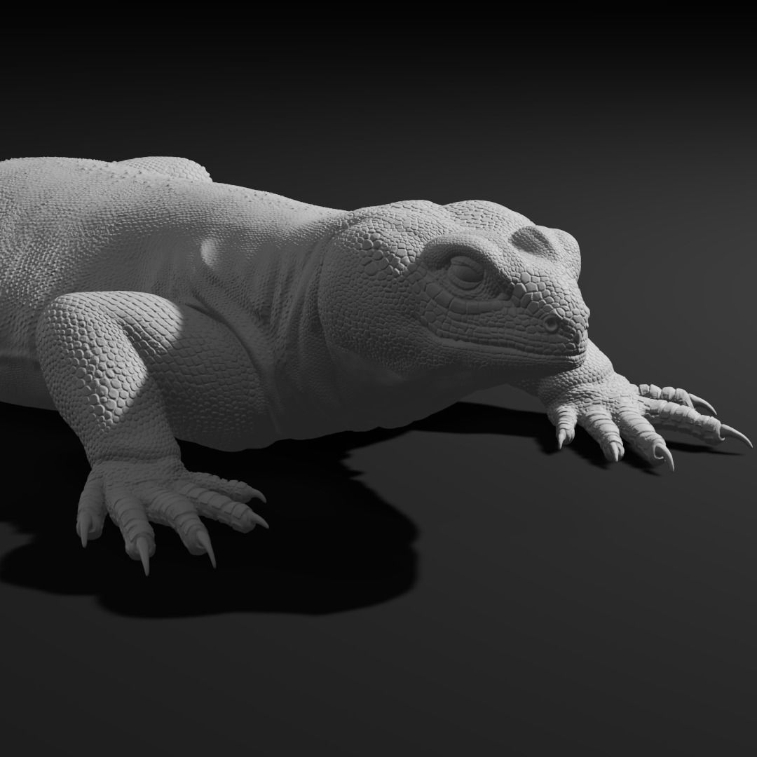 Uromastyx - Spiny Tailed Lizard - Pet Reptile 3d print model 3D model ...