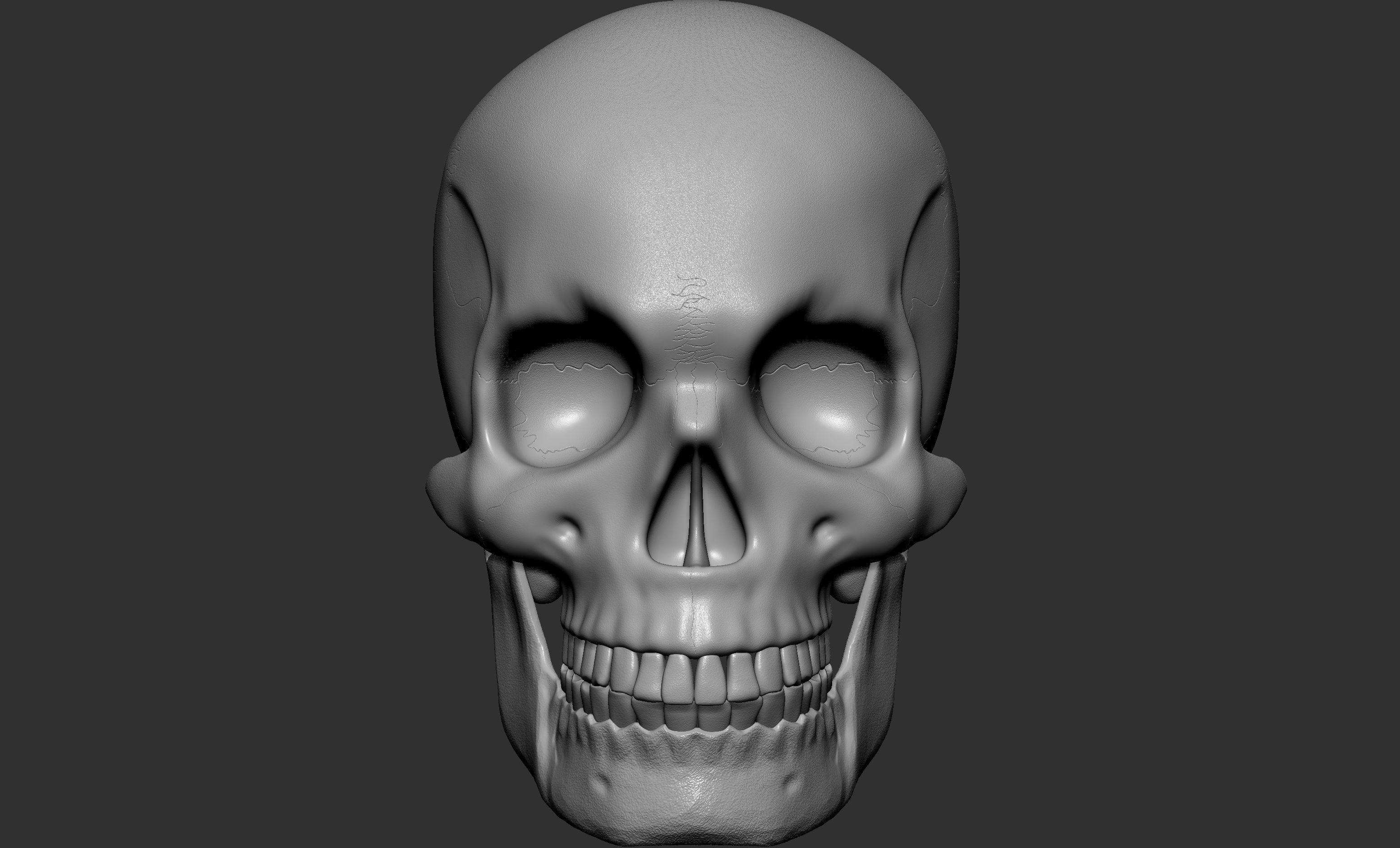 Skull structure 3D model | CGTrader