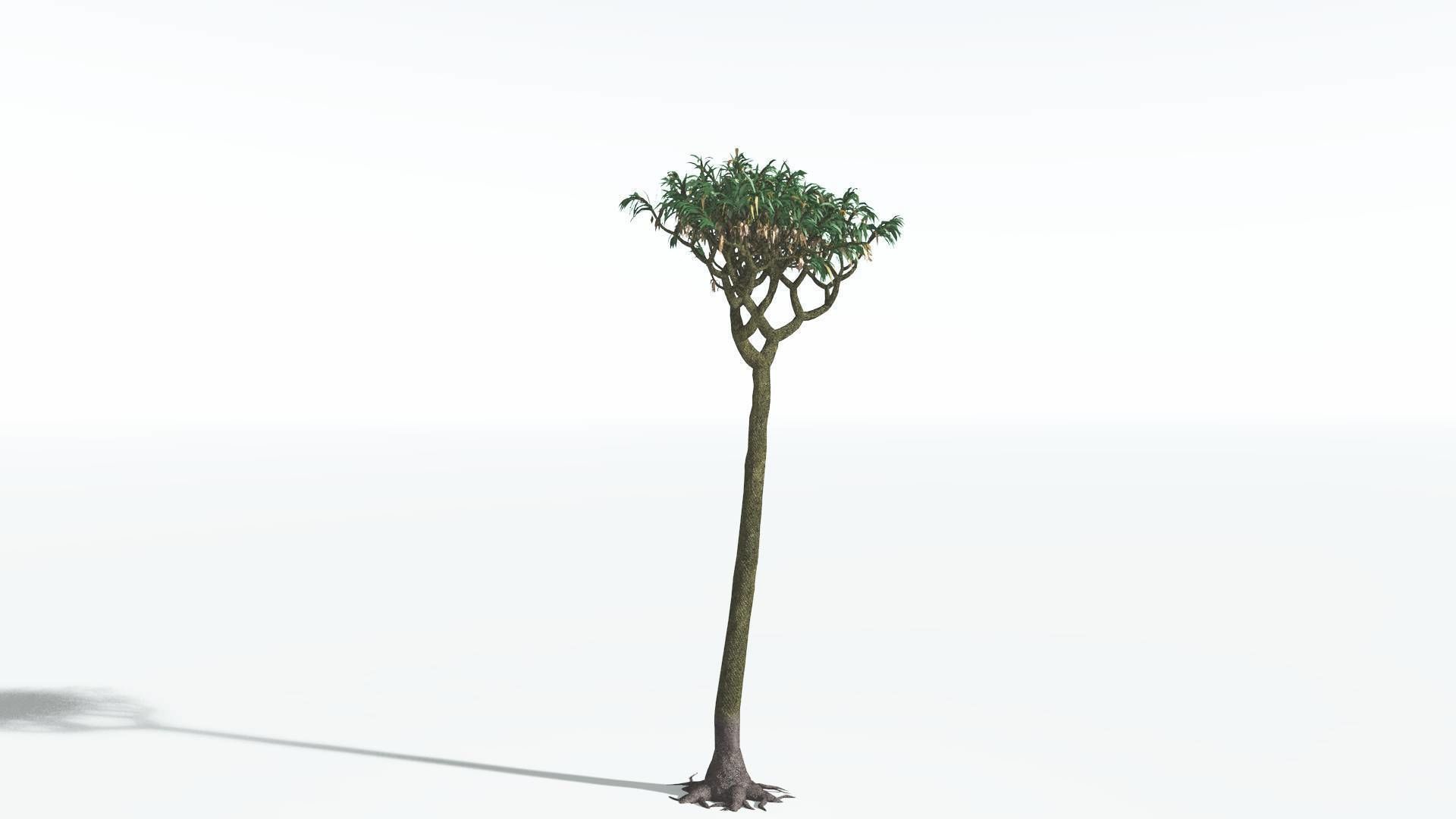 3D model EVERYPlant Lepidodendron Scale Tree LowPoly 4 --14 Models-- VR ...