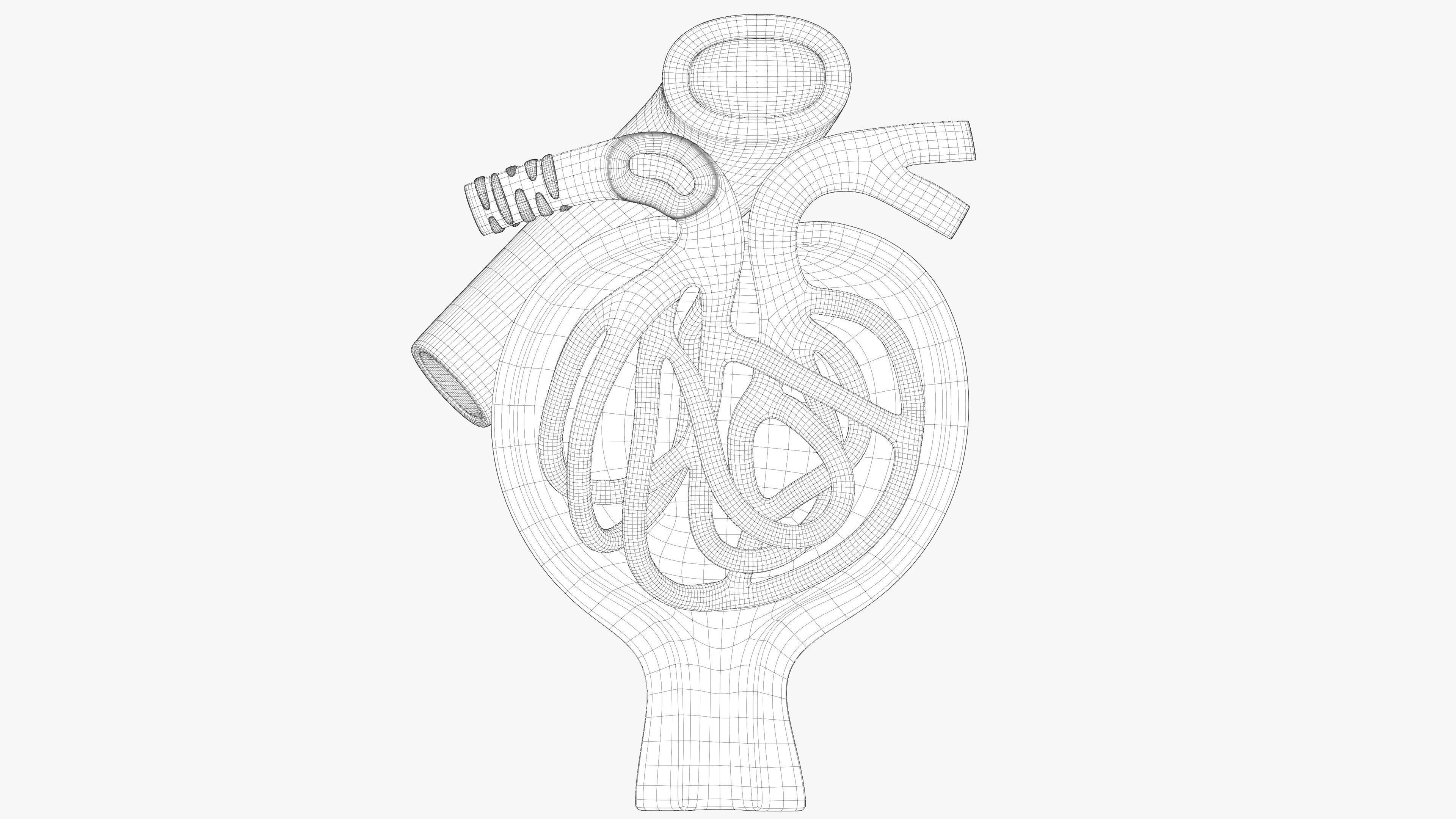 Professional human glomerular bowmans capsule capsula glomeruli 3D ...