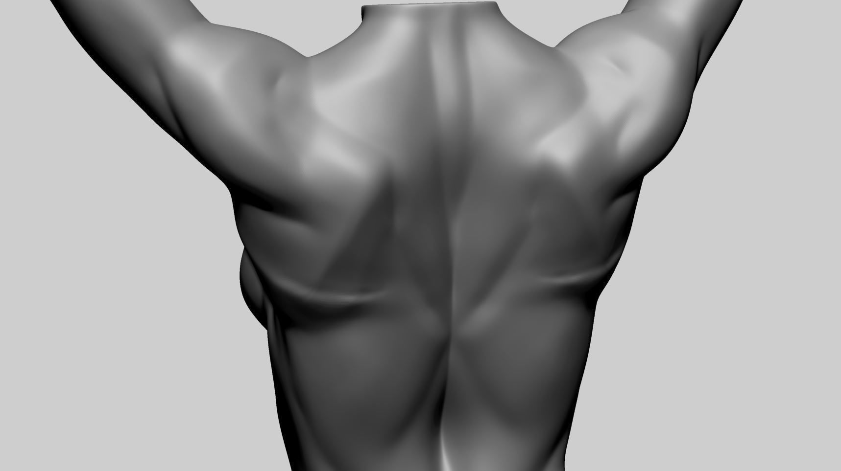 Base Female Torso 3D model | CGTrader
