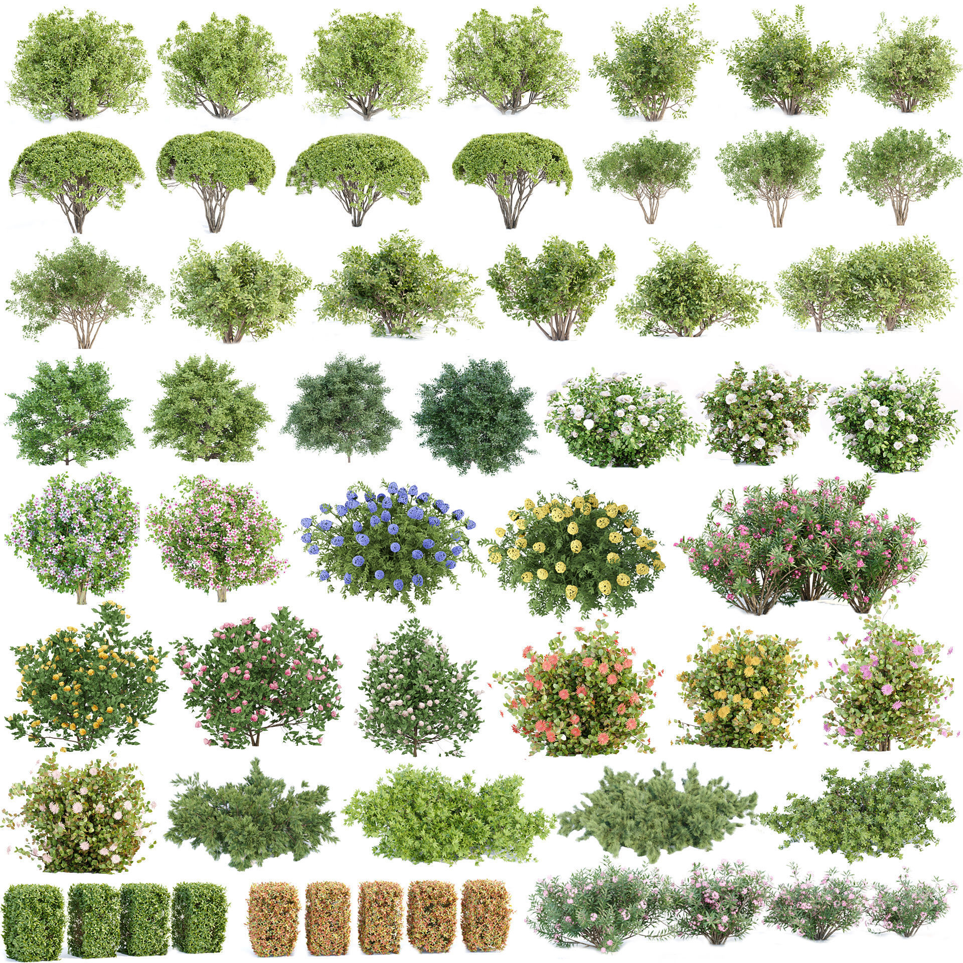 60 Bush models collection vol 10 3D Model | CGTrader