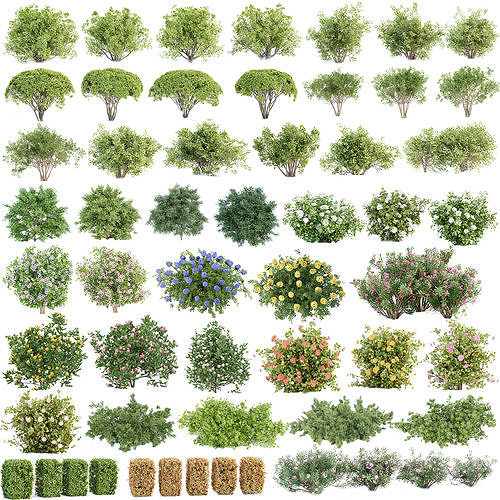 60 Bush models collection vol 10 3D Model | CGTrader