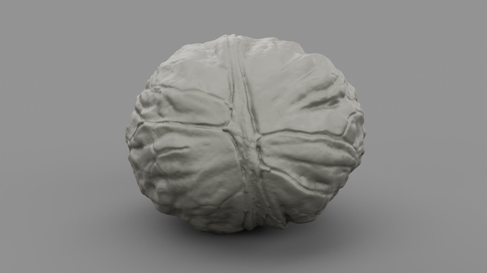 Walnut 01 3D model 3D printable | CGTrader