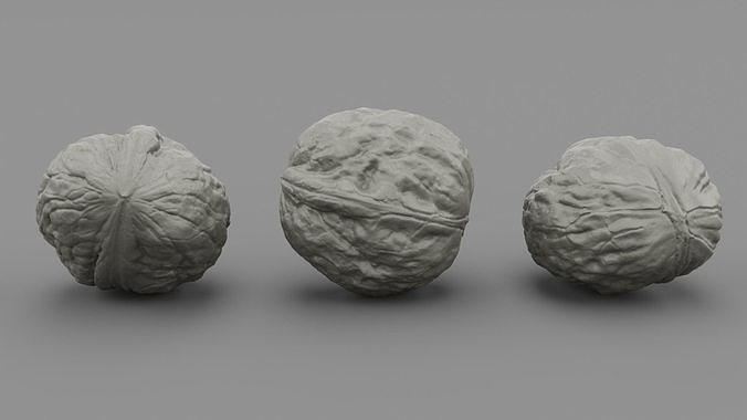 Walnut 01 3D model 3D printable | CGTrader