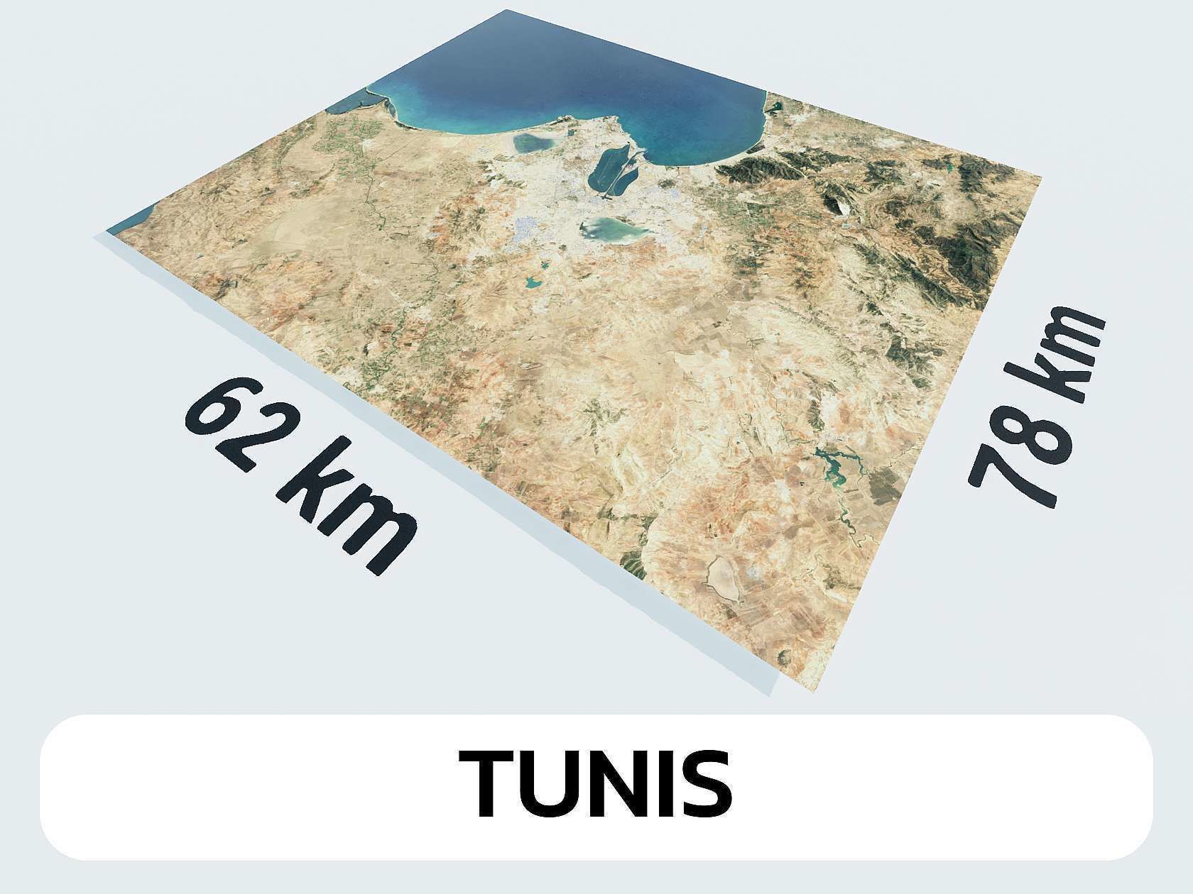 Tunis Tunisia City Landscape 3D Model 3D model | CGTrader
