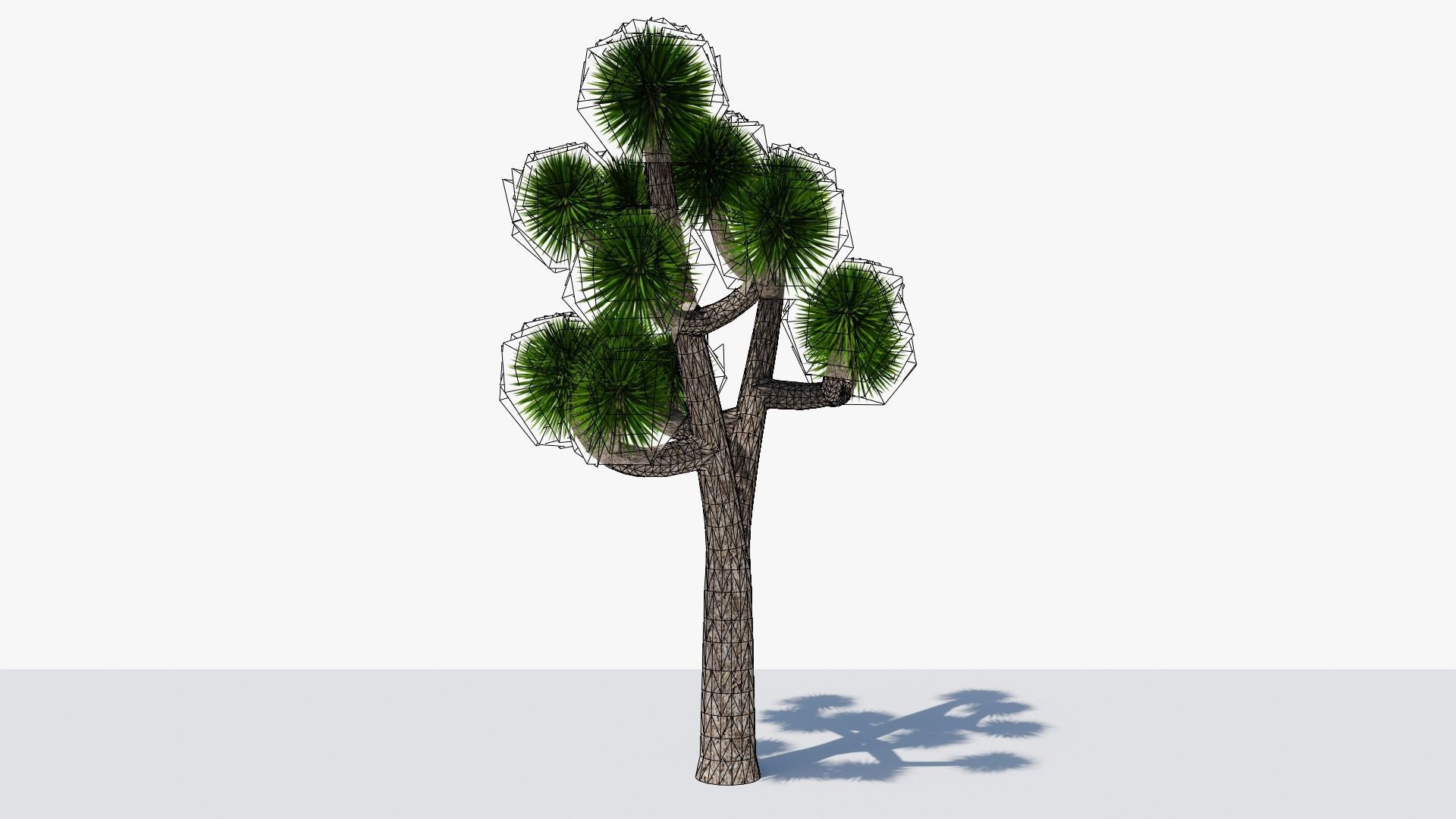 3D model Joshua Tree or Yucca Palm v6 VR / AR / low-poly | CGTrader