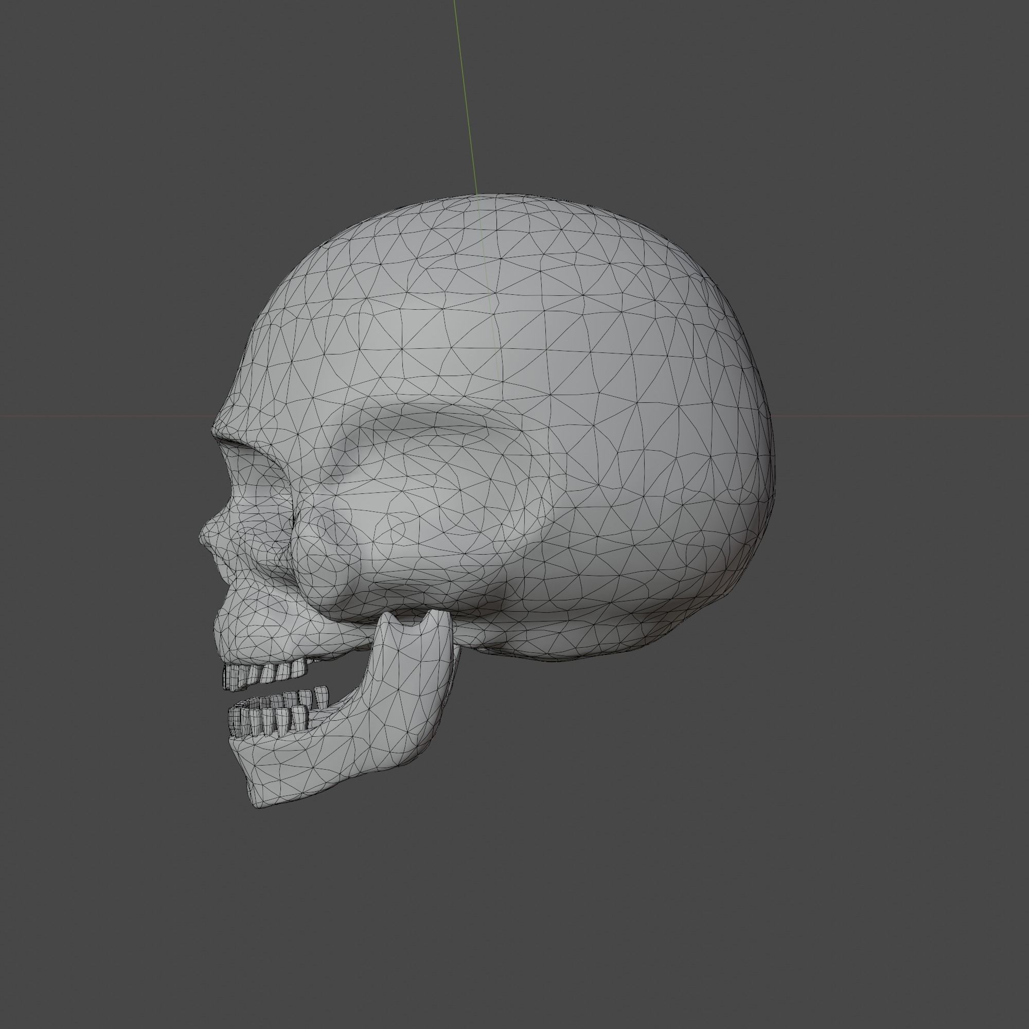 Normal and Decayed Skull - 3D Model 3D model | CGTrader