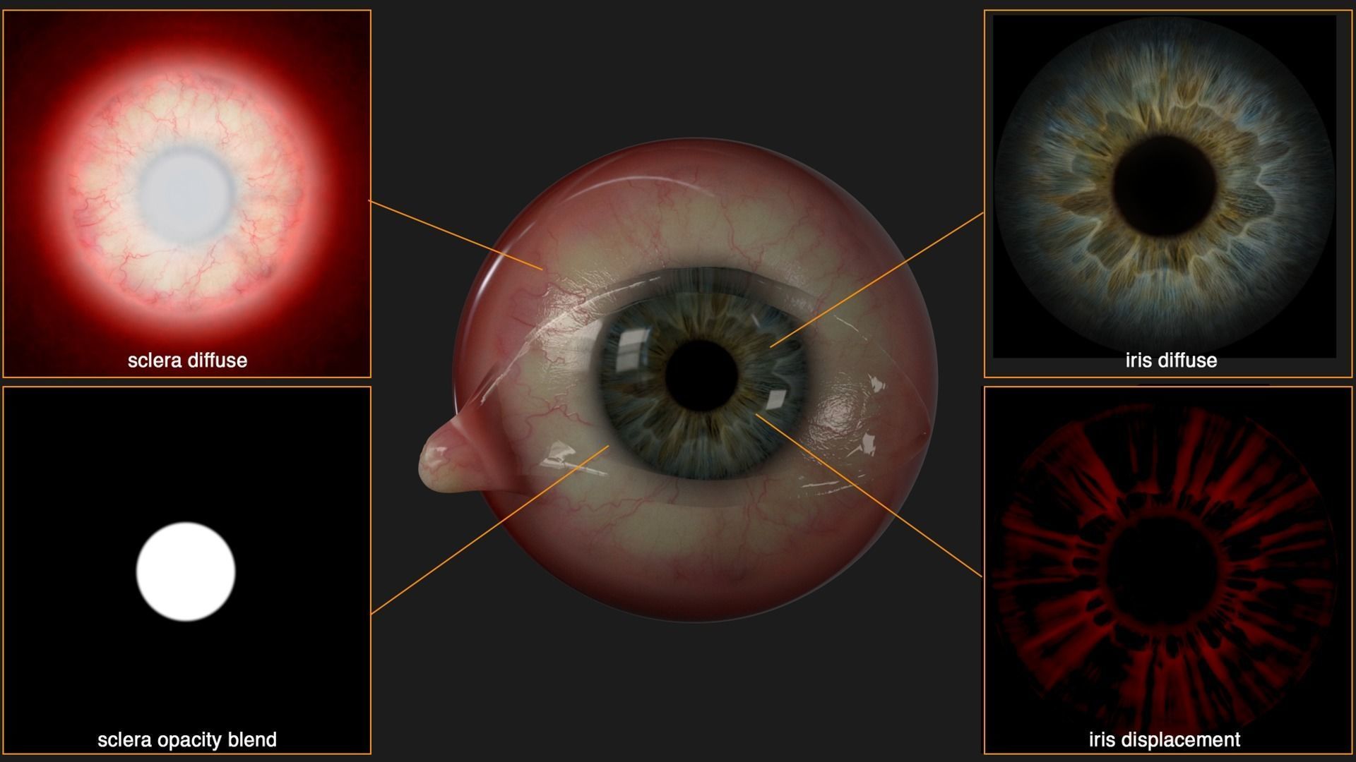 PHOTOREALISTIC EYE PACK WITH RIG AND ANIMATION 3D model animated rigged ...